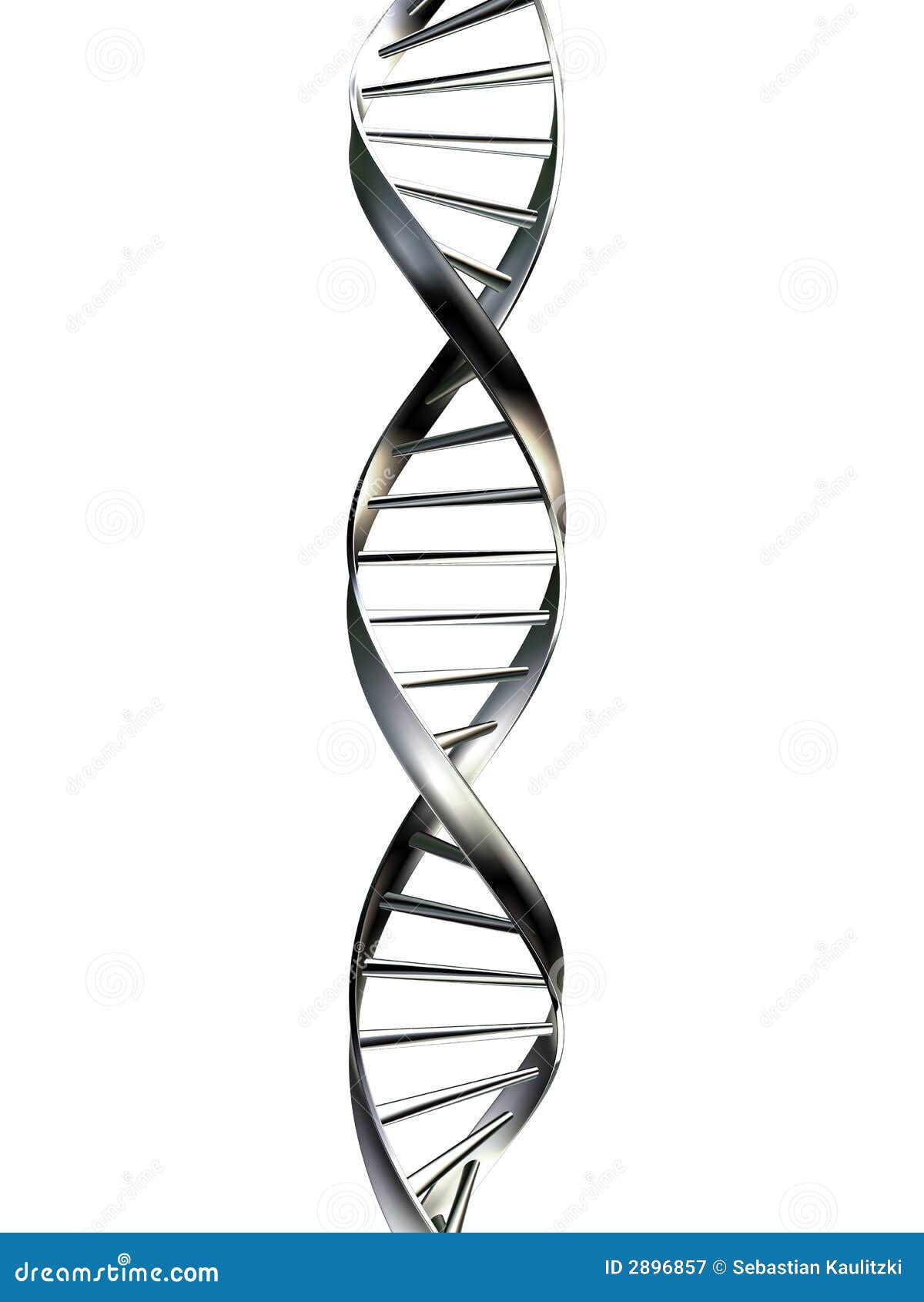 Dna model stock illustration. Illustration of drug, cancer - 2896857