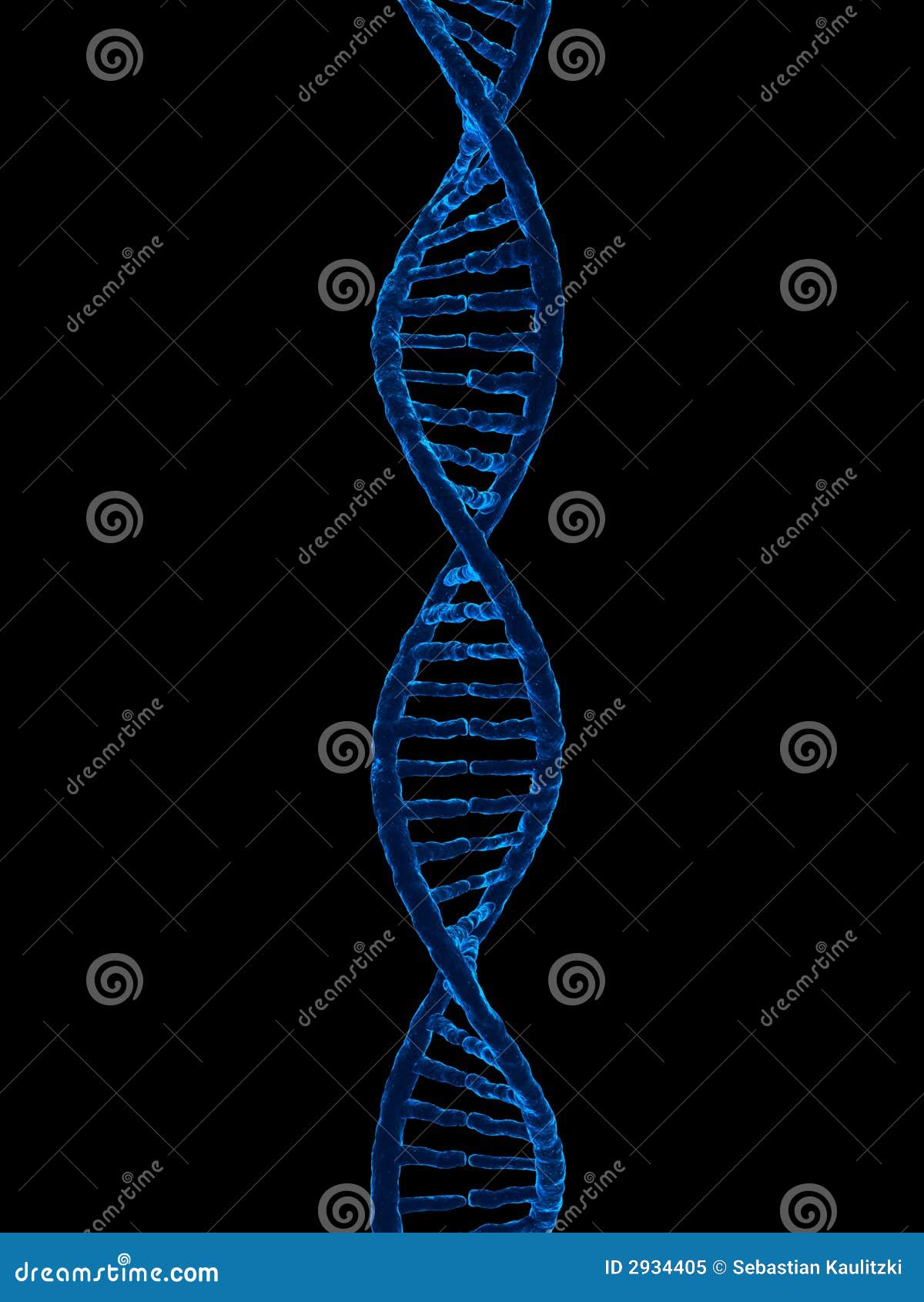 Dna model stock illustration. Illustration of researchs - 2934405