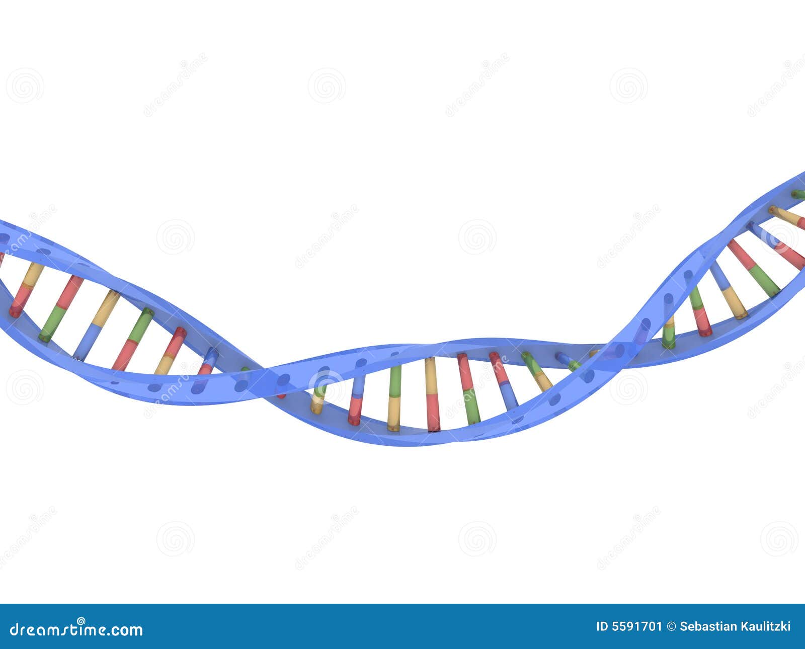 Dna model stock illustration. Illustration of nucleic - 5591701