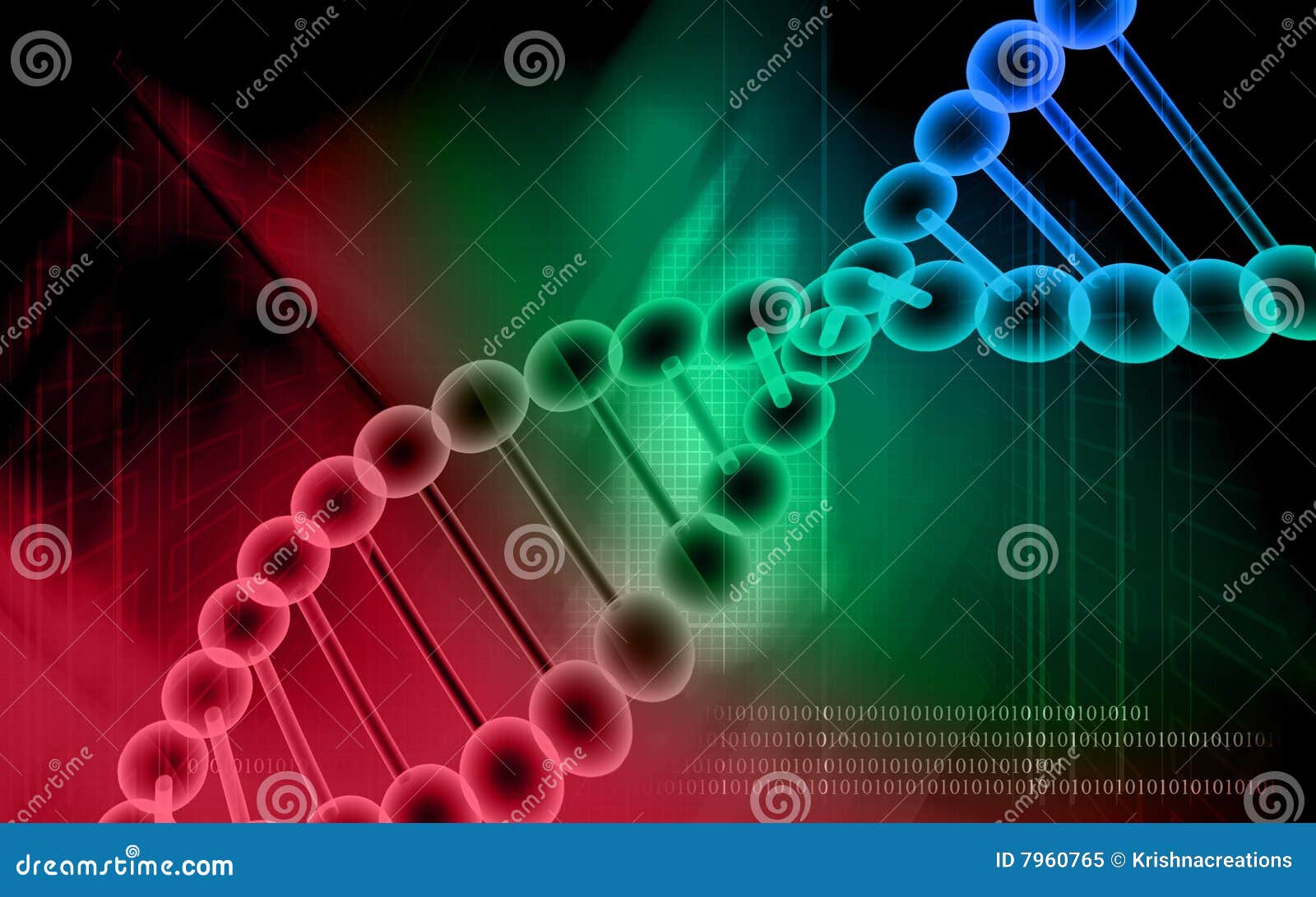 DNA model stock illustration. Illustration of cytosine - 7960765