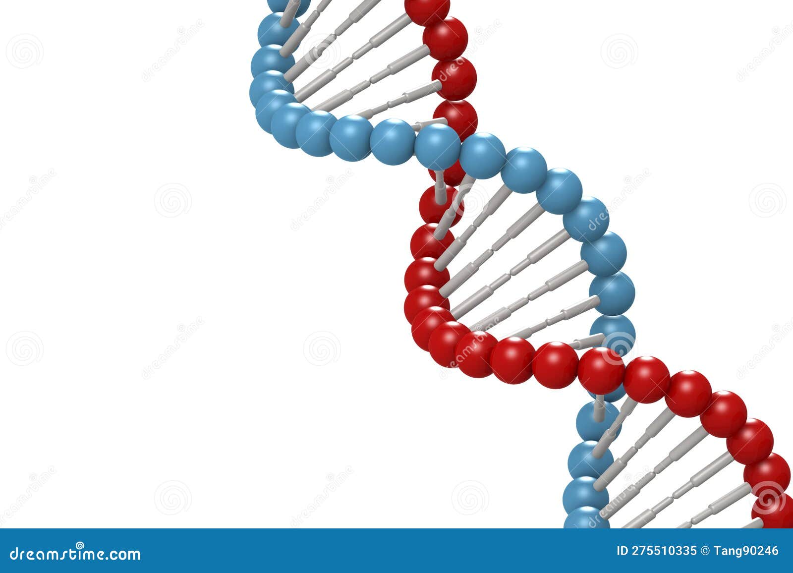 DNA Model with Blue and Red Elements Stock Illustration - Illustration ...