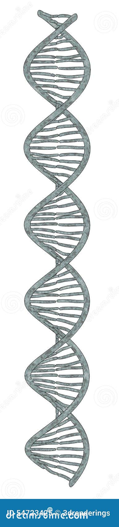 DNA model stock illustration. Illustration of gene, drawing - 54723425
