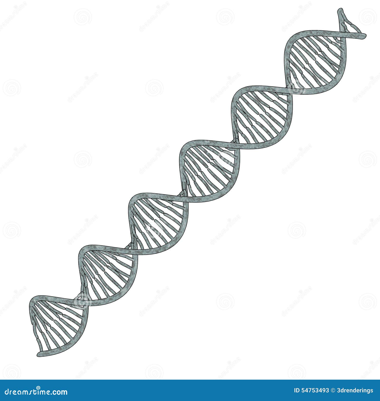 DNA model stock illustration. Illustration of gene, model - 54753493