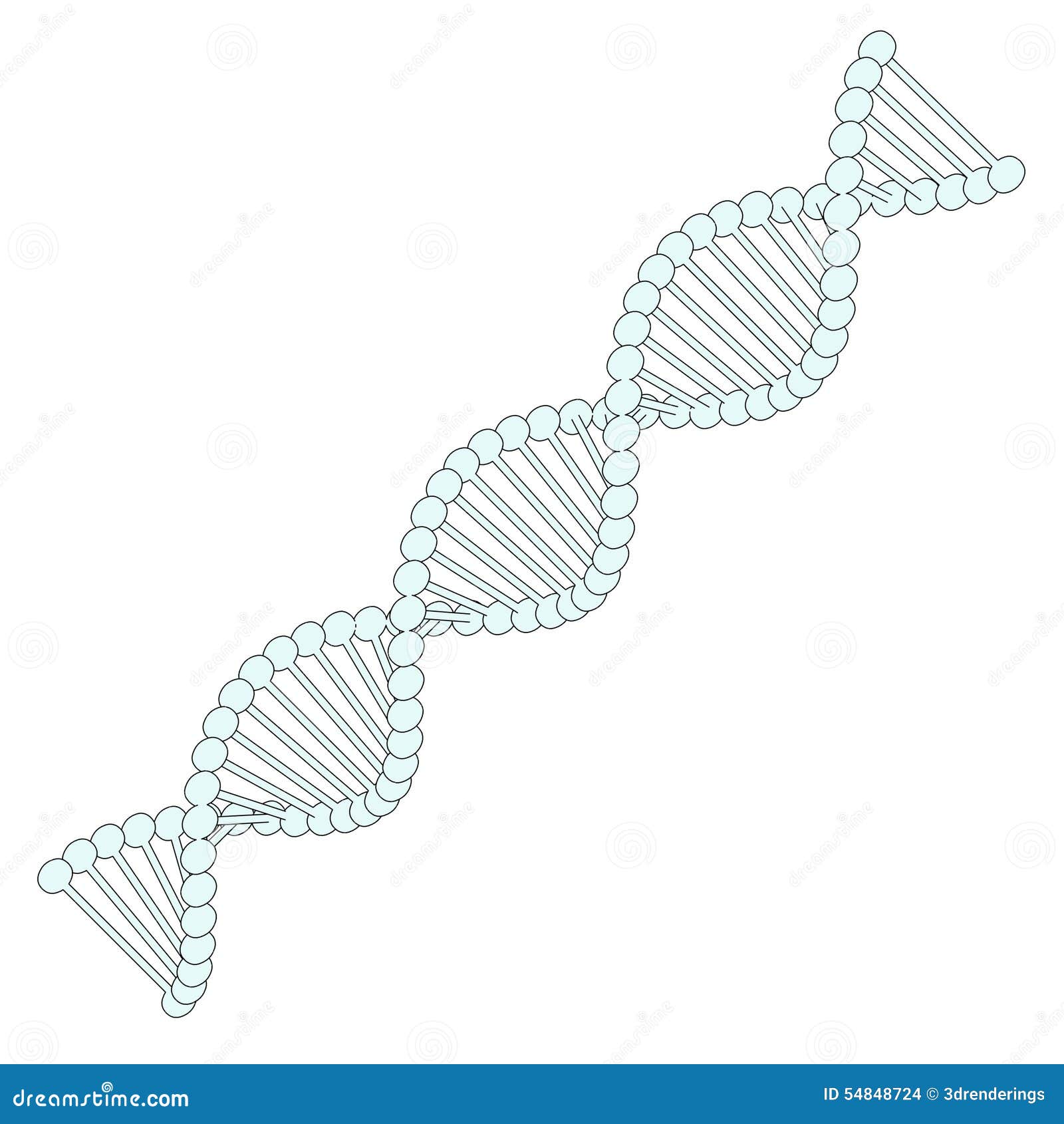 DNA model stock illustration. Illustration of cartoon - 54848724