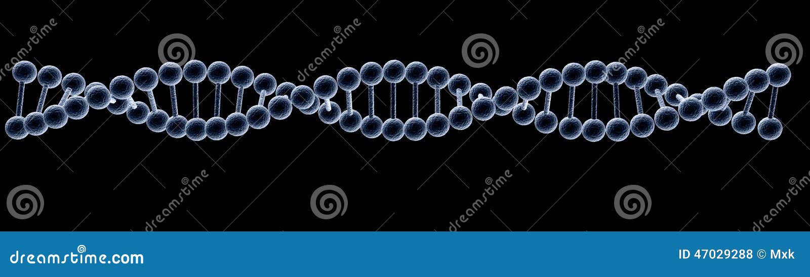 Dna model stock photo. Image of bumpy, genetic, biotechnology - 47029288
