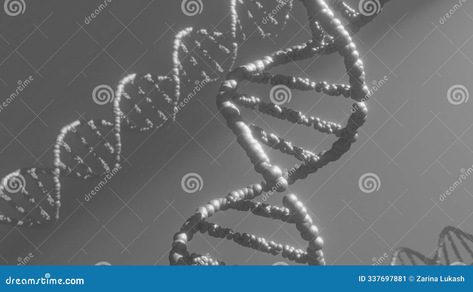 3D Model Of A DNA Double Helix Structure With Detailed Nucleotides ...