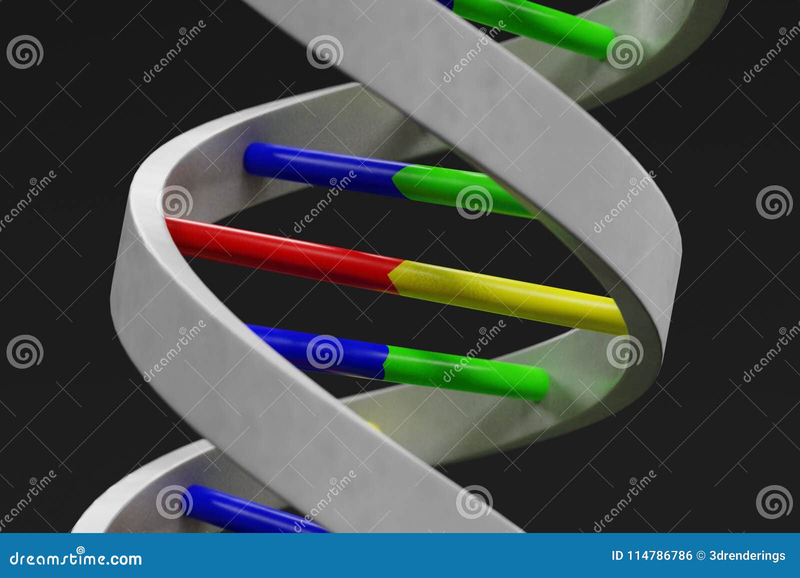 DNA model stock illustration. Illustration of genetic - 114786786