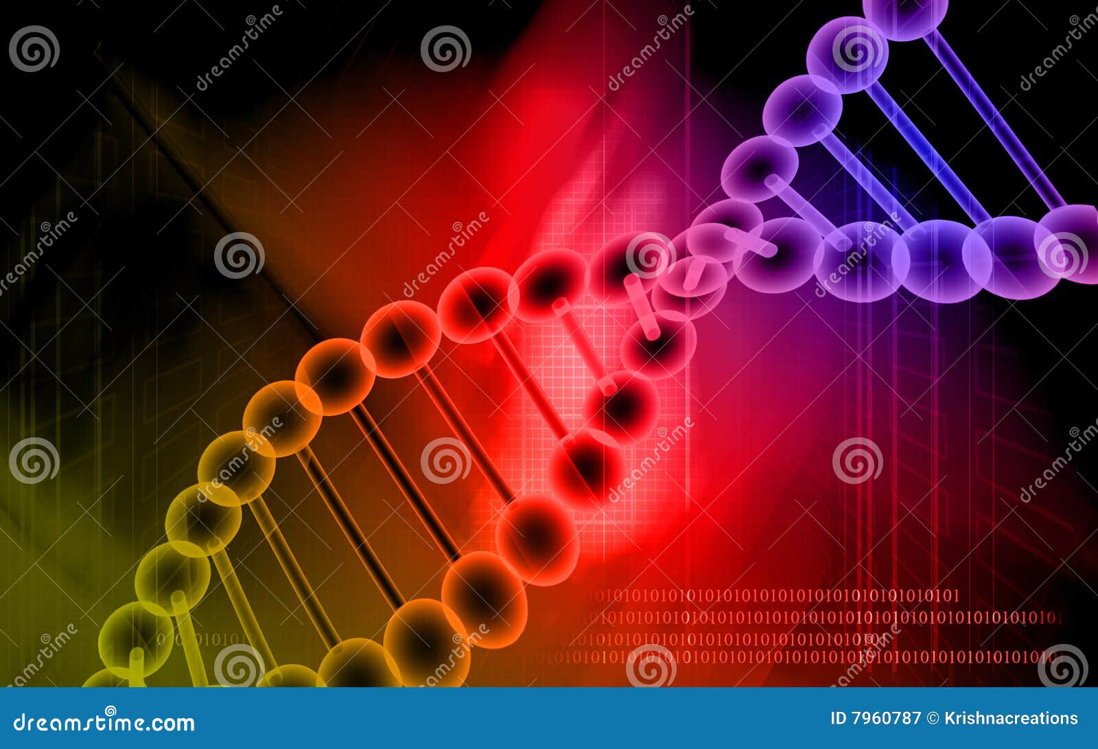 DNA model in red colour stock illustration. Illustration of hereditary ...