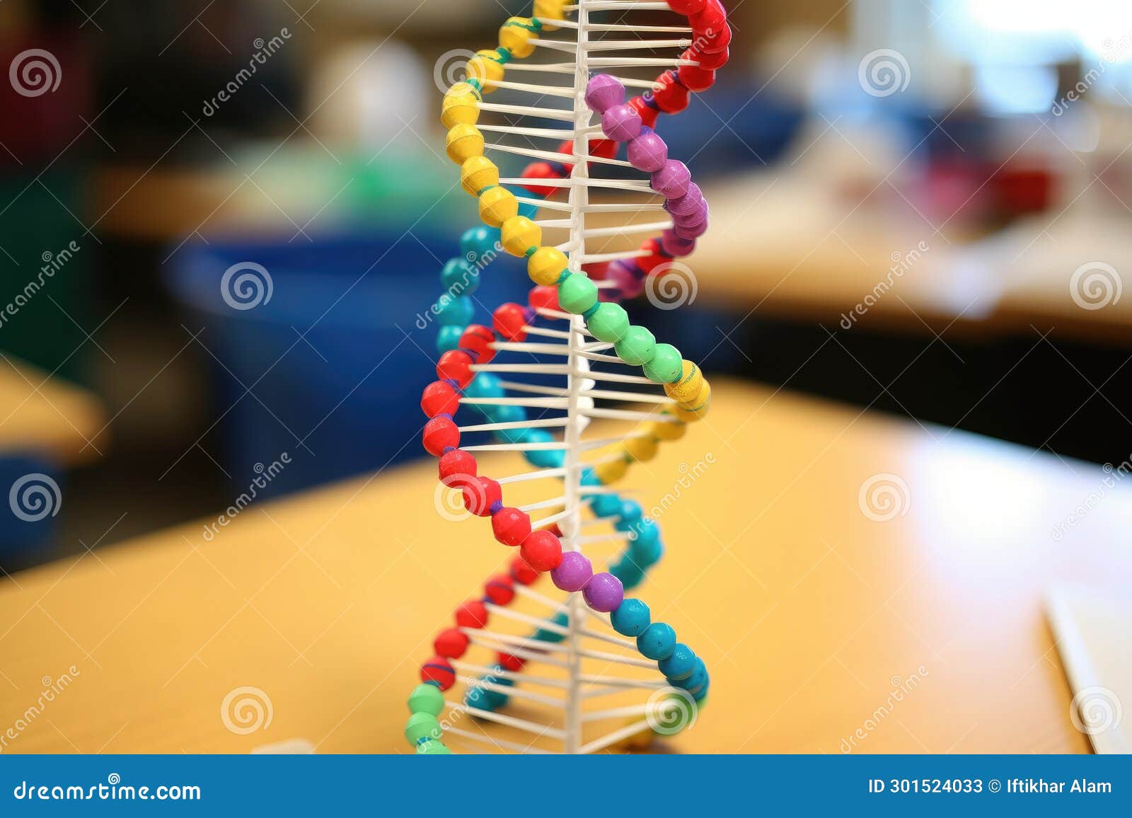 DNA Model in School Classroom, Science and Education Concept. Selective ...