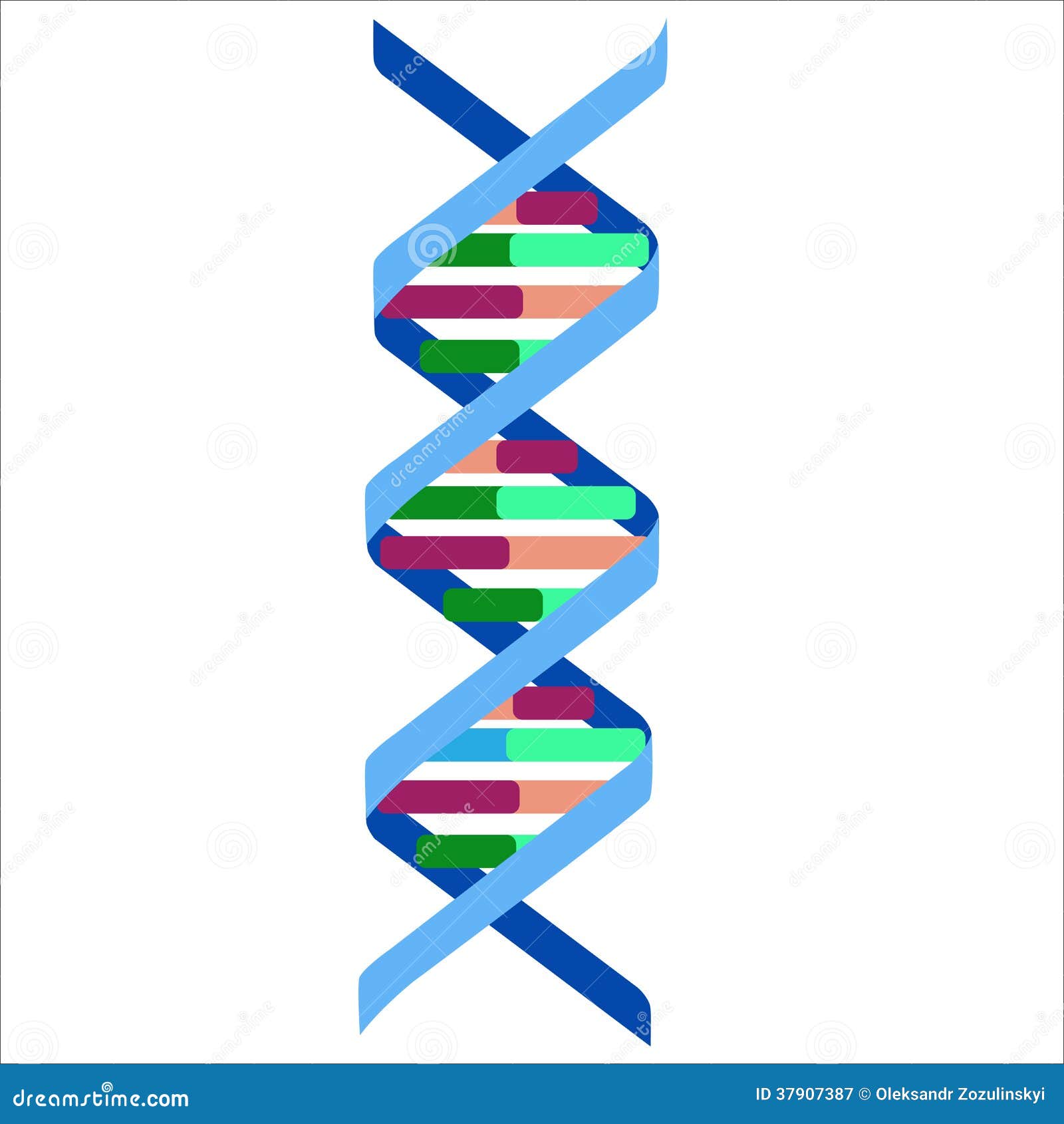 DNA model stock illustration. Illustration of disease - 37907387