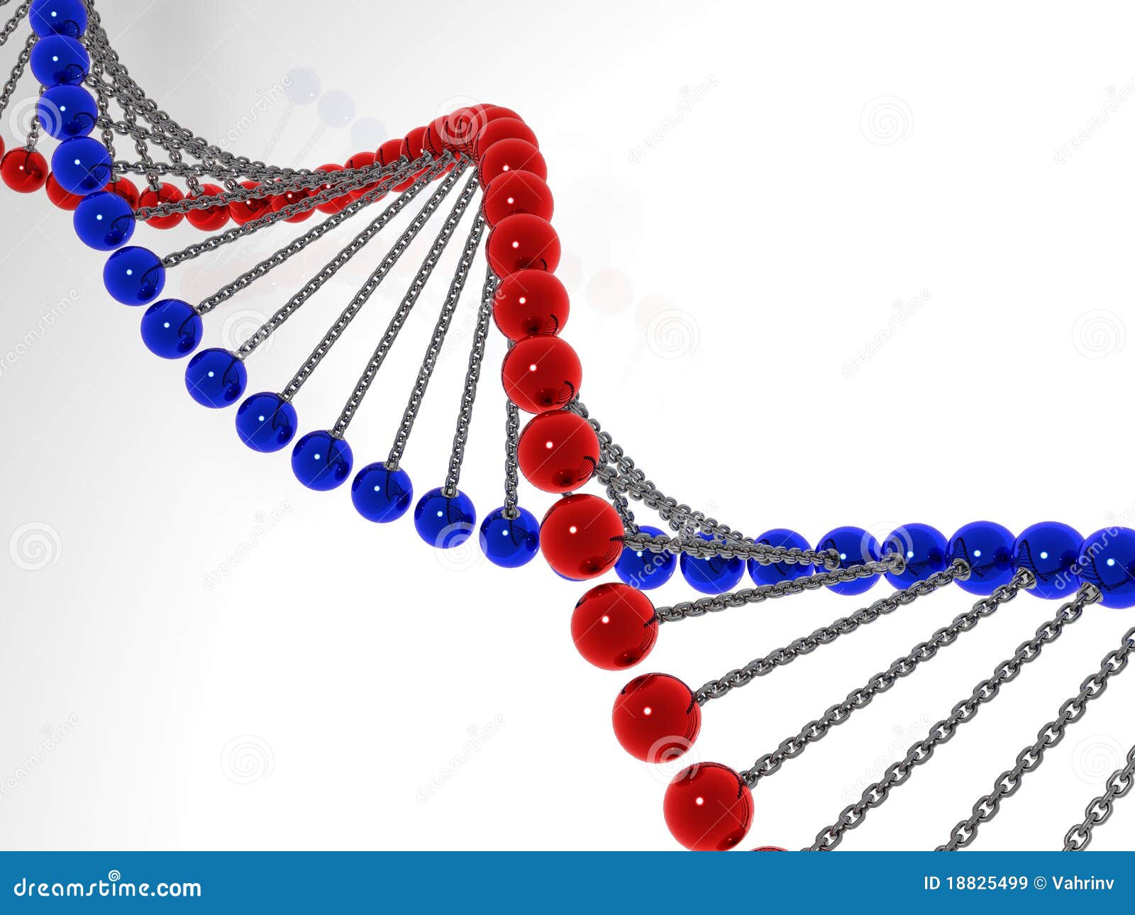 DNA Modelo De La Molécula 3d Imágenes de archivo libres de regalías ...