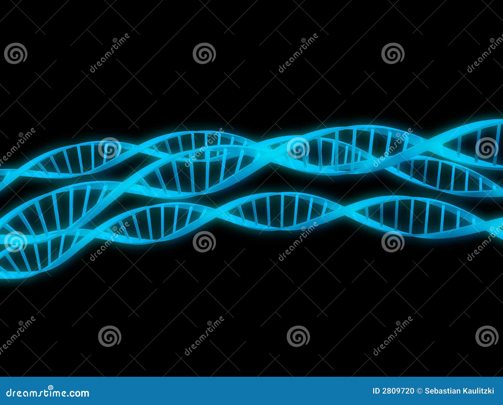 Dna models stock illustration. Illustration of nucleus - 2809720