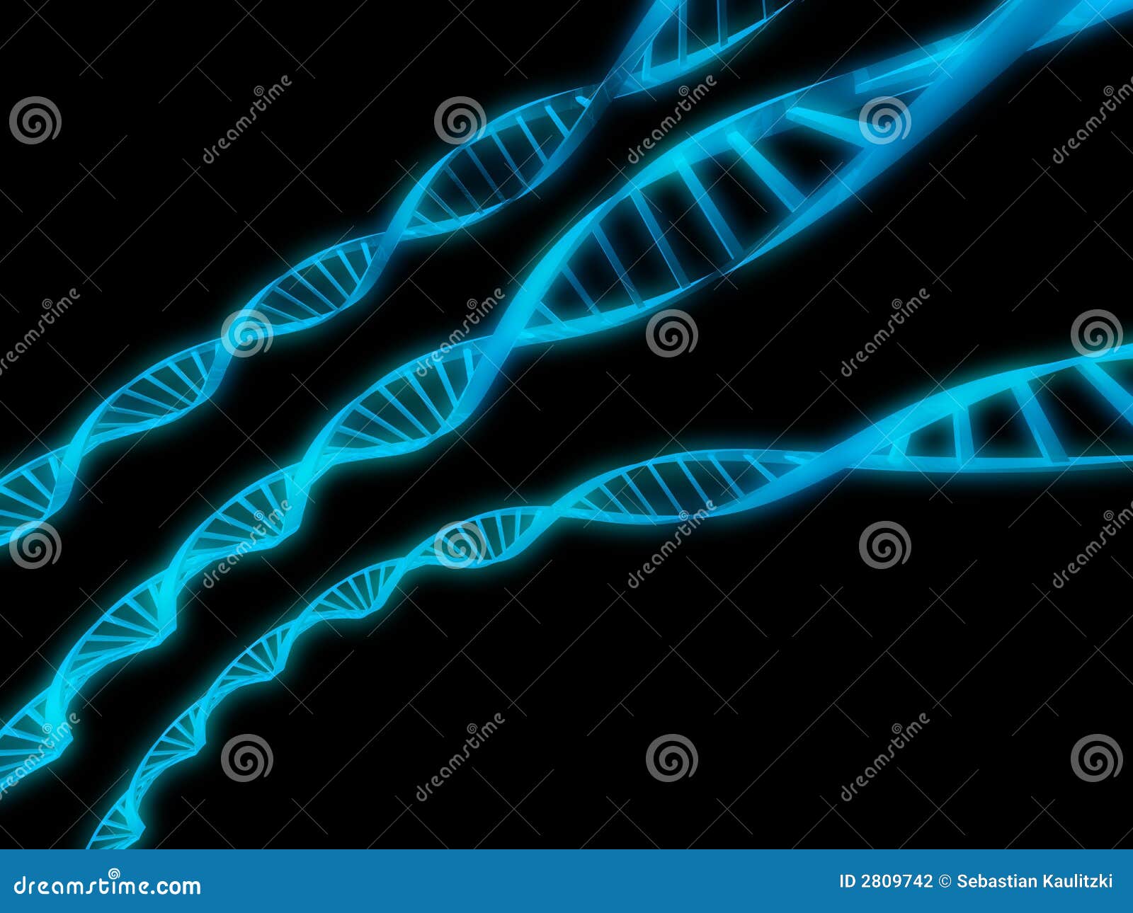 Dna models stock illustration. Illustration of nucleus - 2809742