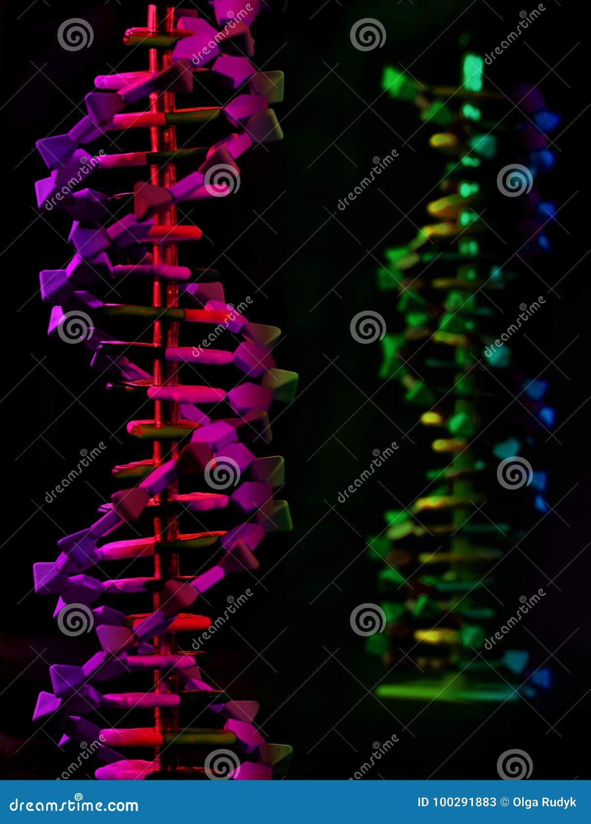 DNA models stock image. Image of biotechnology, isolated - 100291883