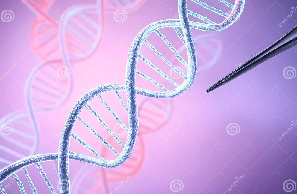 DNA Modification and CRISPR Research Stock Illustration - Illustration ...