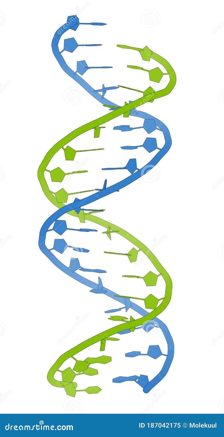 DNA Molecular Structure. Main Carrier of Genetic Information in All ...