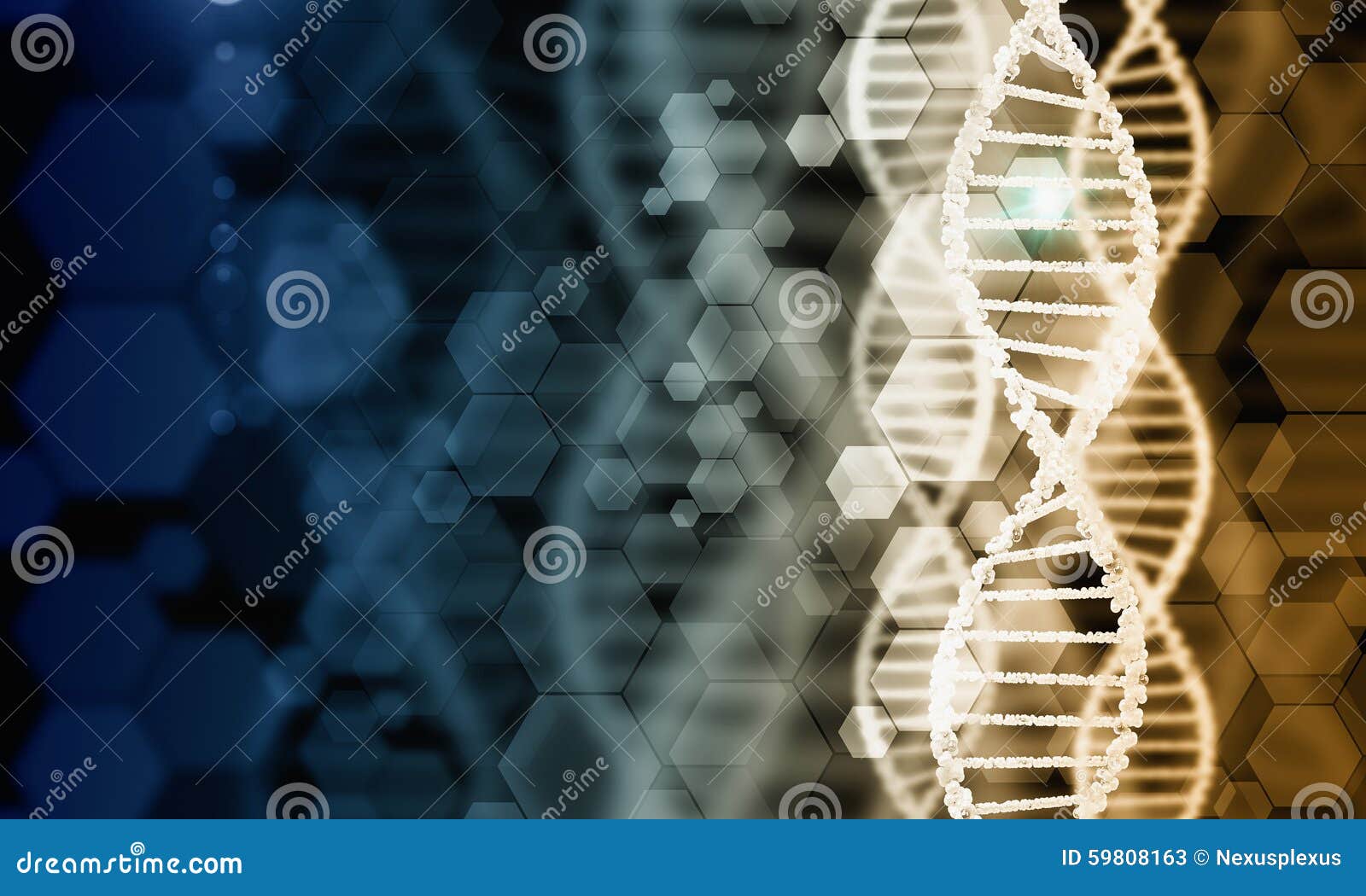 DNA molecule stock image. Image of microscopic, evolution - 59808163