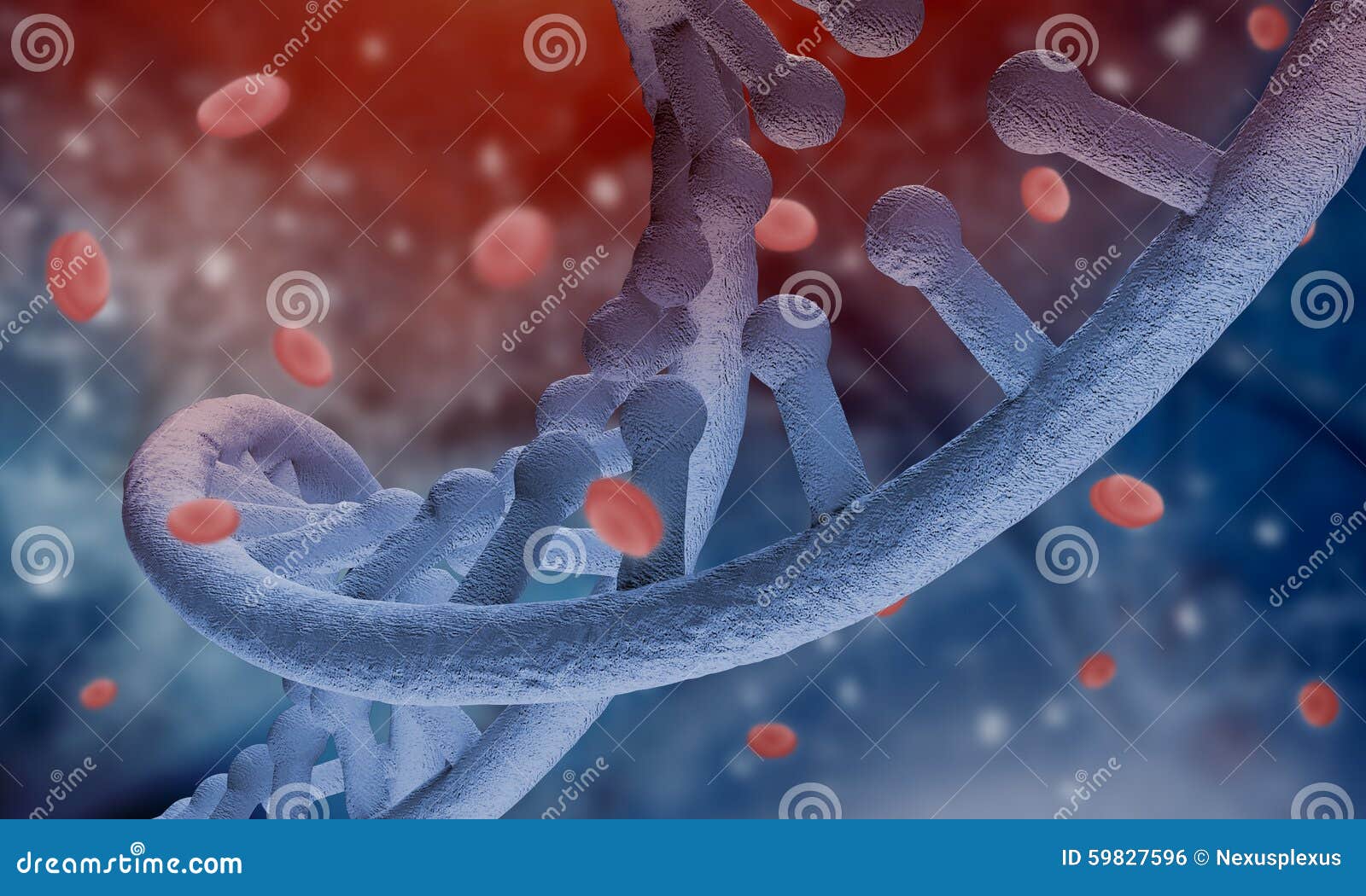 DNA molecule stock photo. Image of biology, chemistry - 59827596