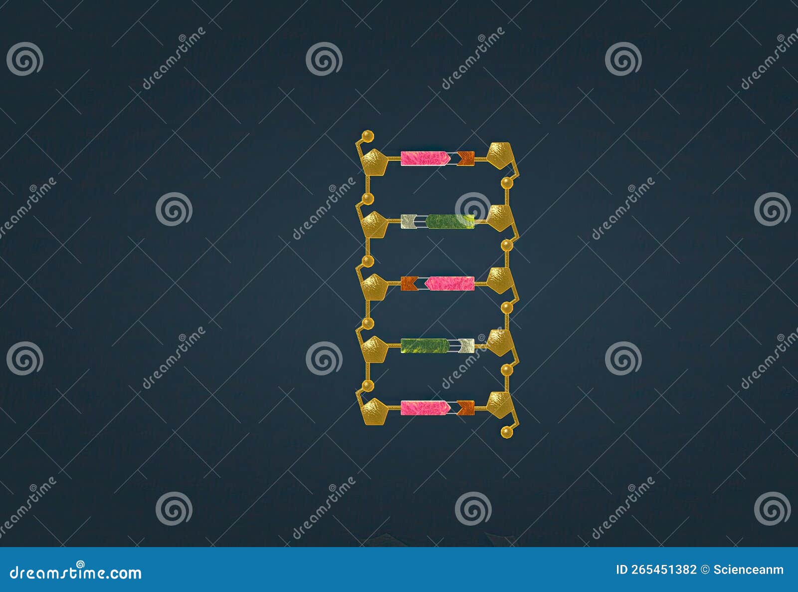 Dna is the Molecule that Carries Genetic Information for the ...