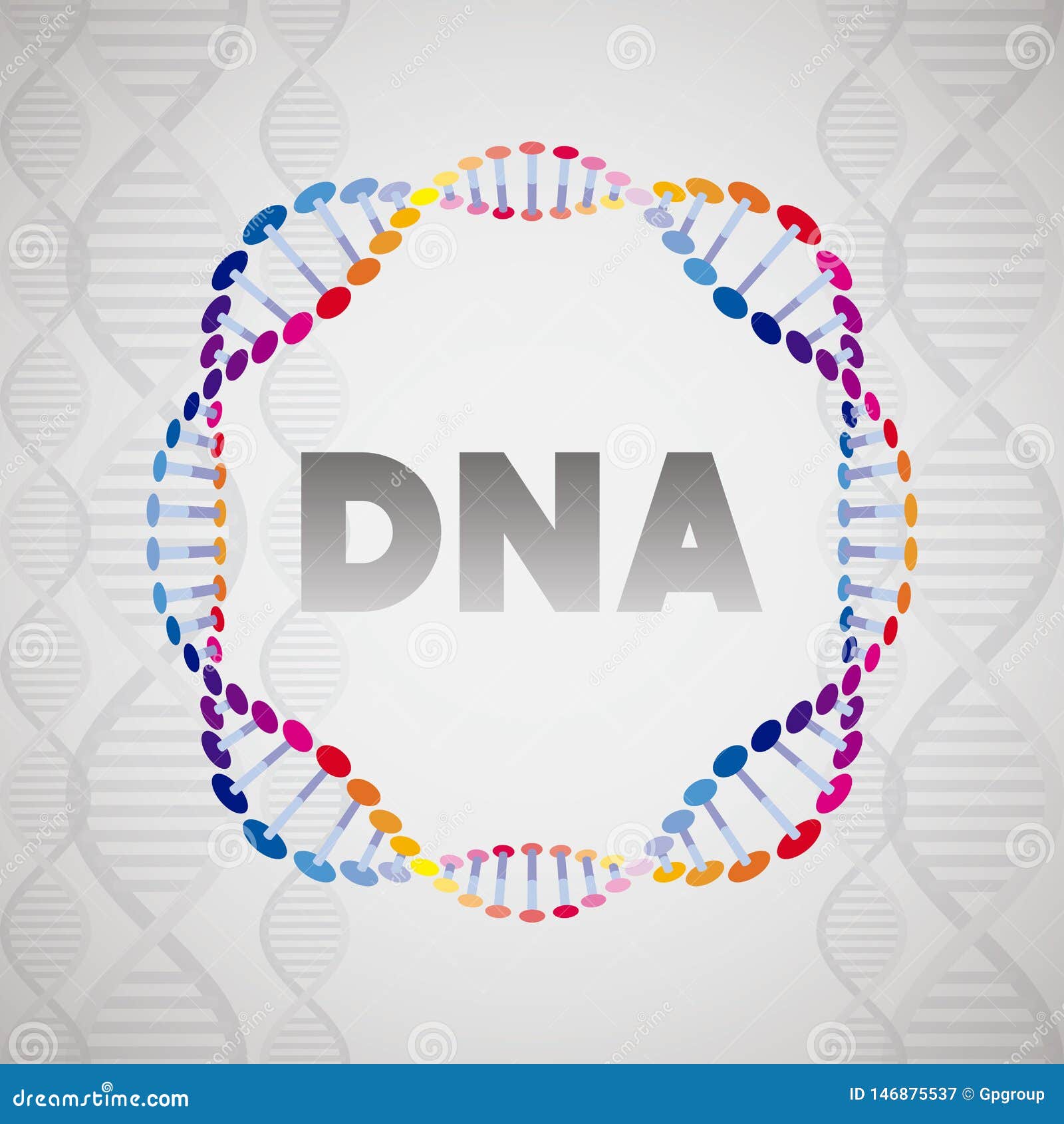 Dna Molecule Circular Structure Stock Vector - Illustration of formula ...