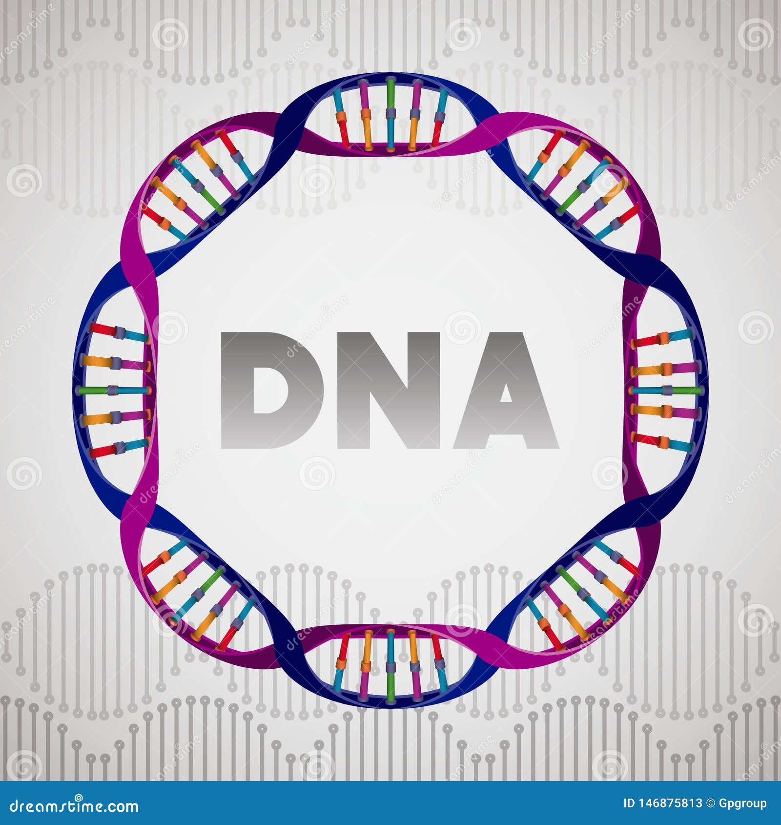 Dna Molecule Circular Structure Stock Vector - Illustration of ...