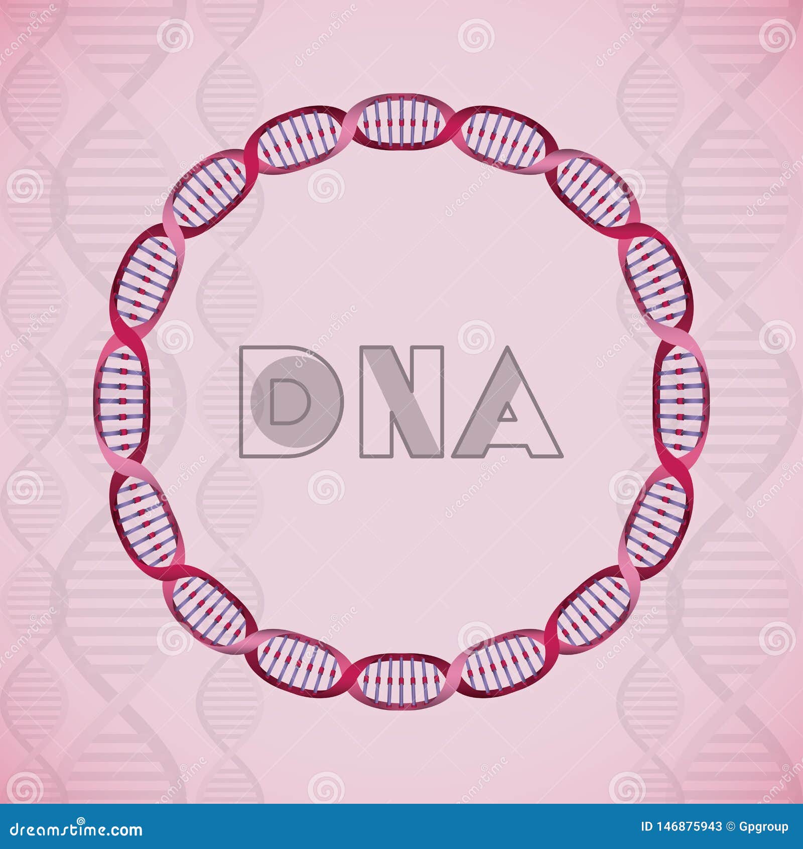 Dna Molecule Circular Structure Stock Vector - Illustration of genetic ...