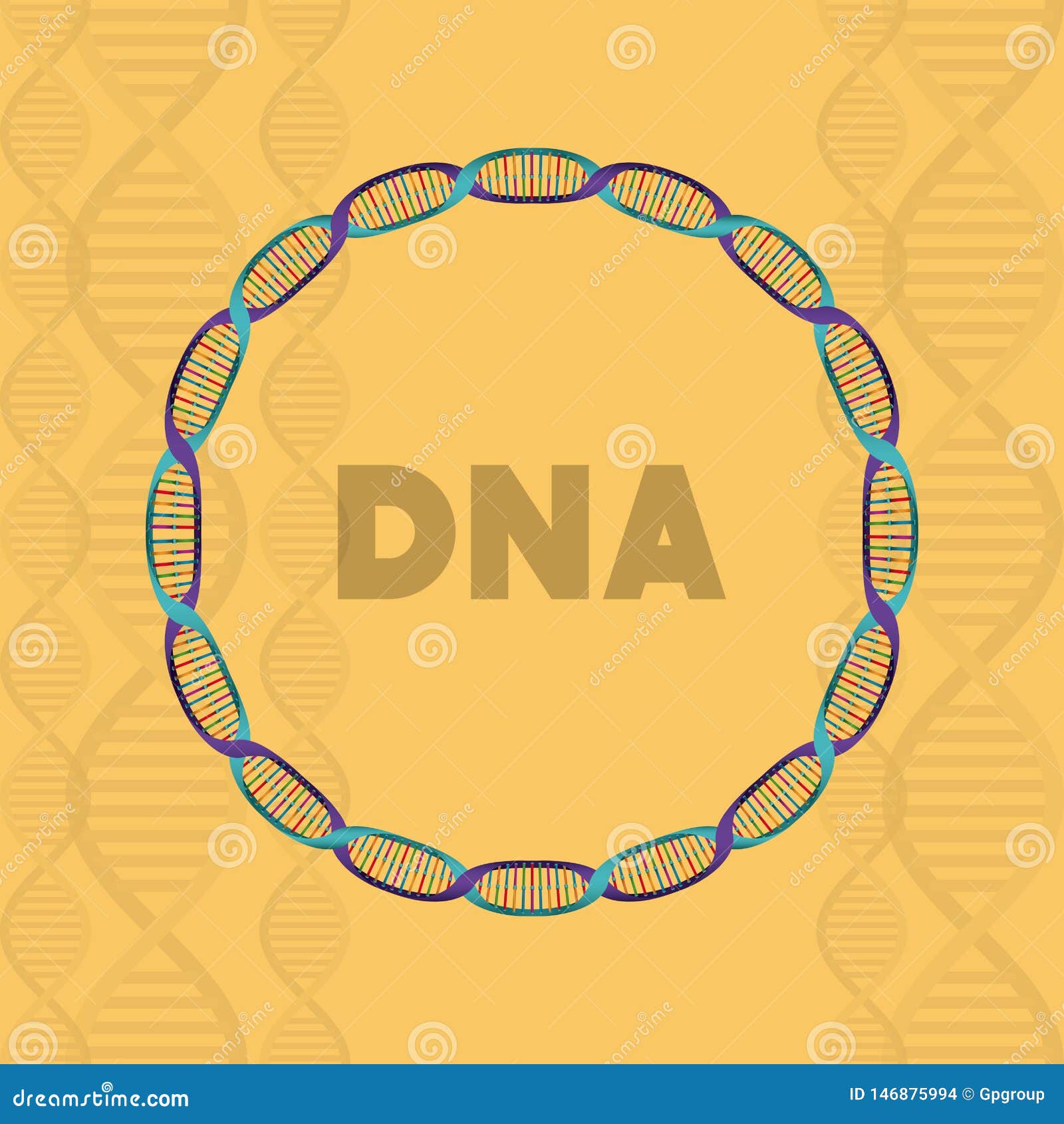Dna Molecule Circular Structure Stock Vector - Illustration of chemical ...