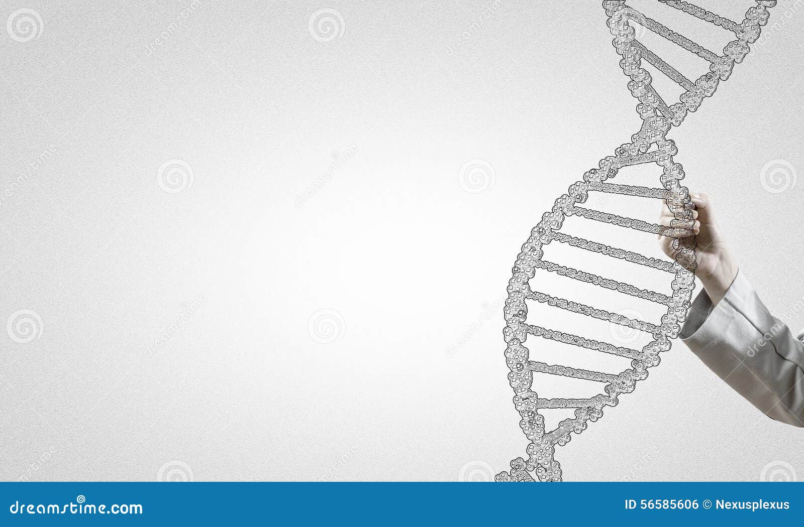 DNA molecule stock photo. Image of female, technology - 56585606