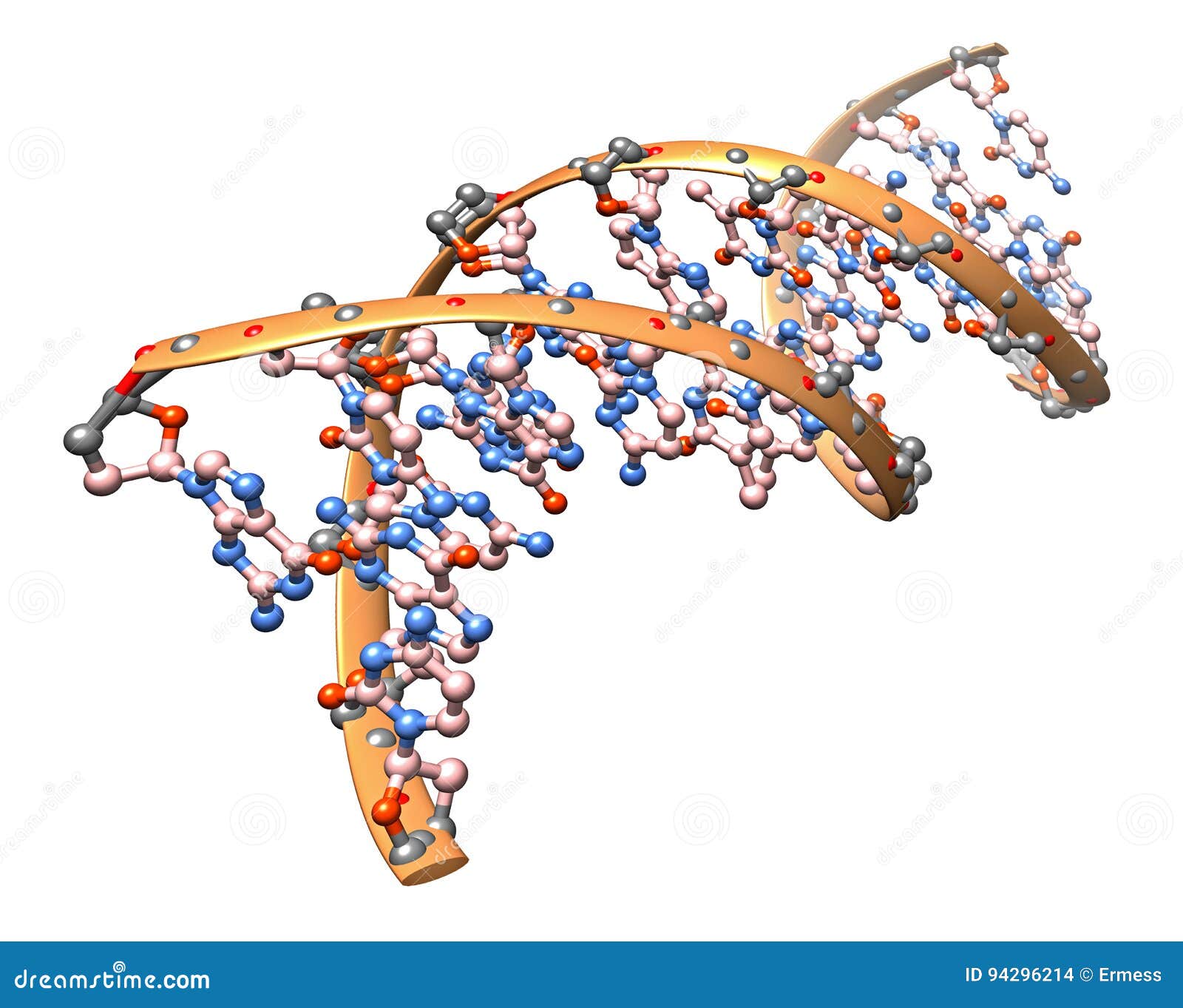 DNA molecule stock illustration. Illustration of medicine - 94296214
