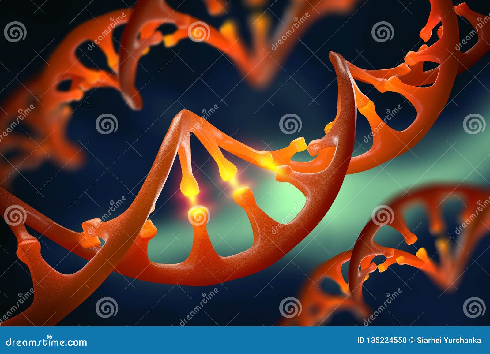 DNA Molecule. Genetic Modification. Study Of The Structure Of The Human ...