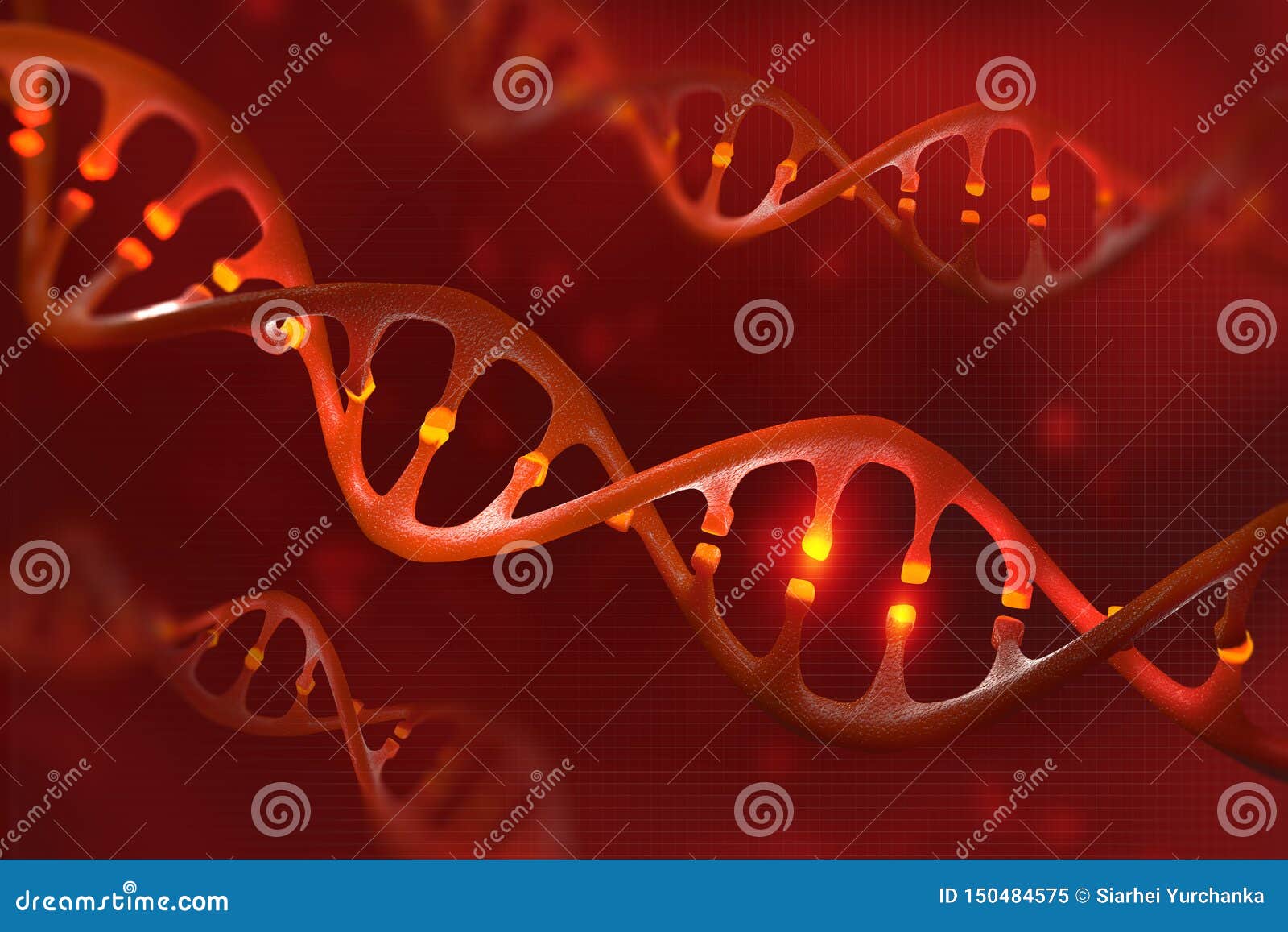 DNA Molecule. Genetic Modification. Study Of The Structure Of The Human ...