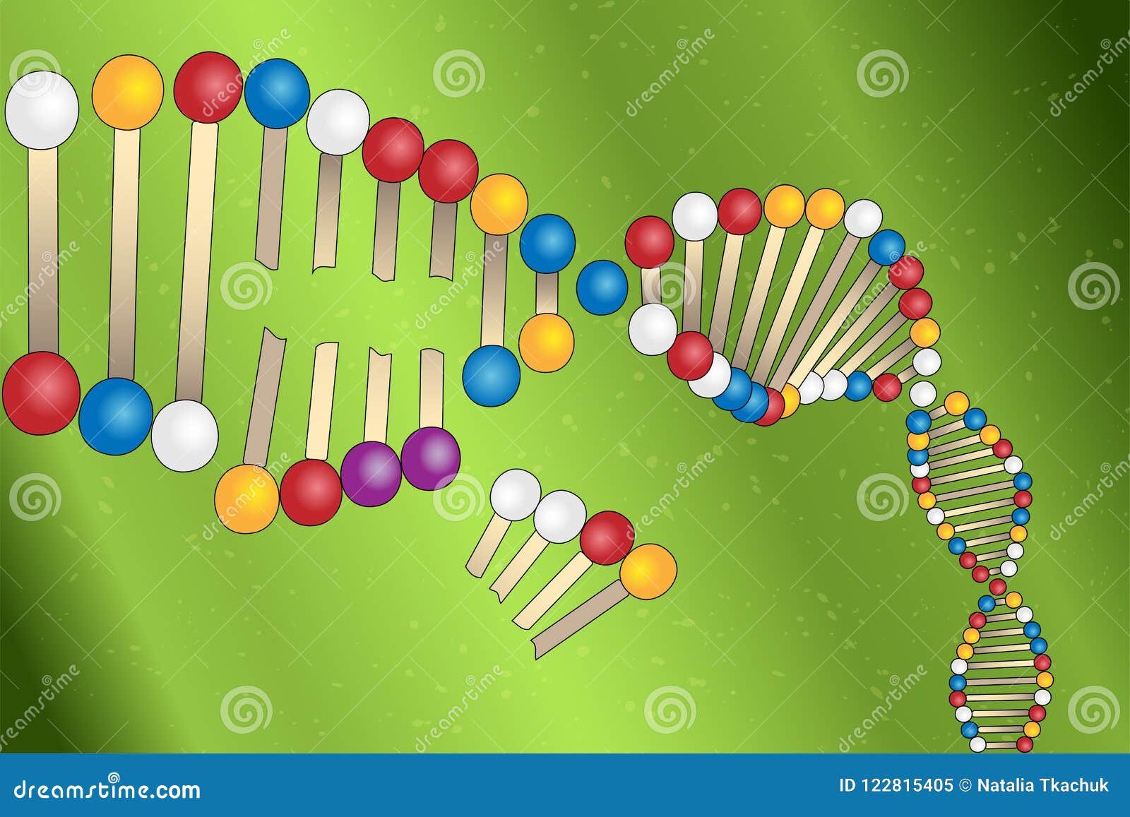 DNA Molecule on Green Background, Vector Illustration Stock Vector ...