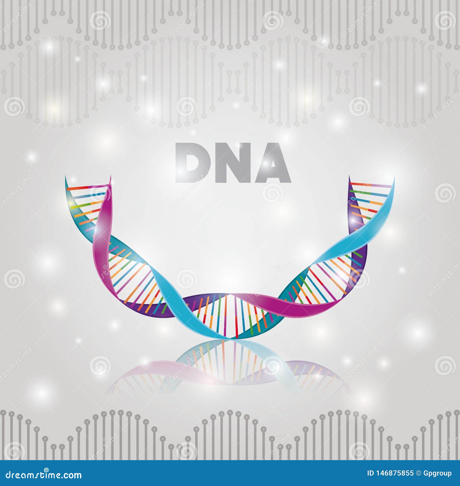 Dna Molecule Half Circle Structure Pattern Stock Vector - Illustration ...