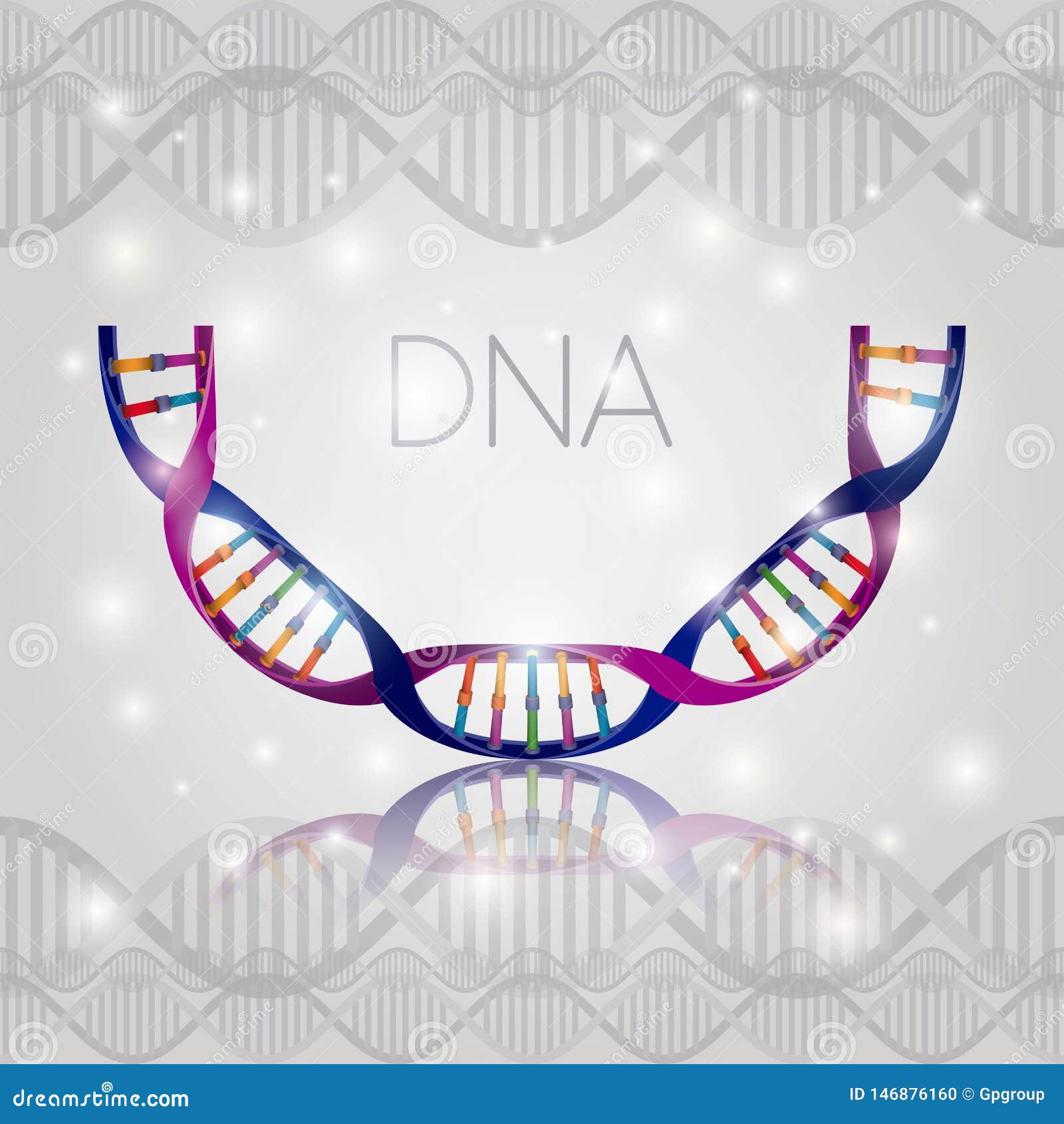 Dna Molecule Half Circle Structure Pattern Stock Vector - Illustration ...