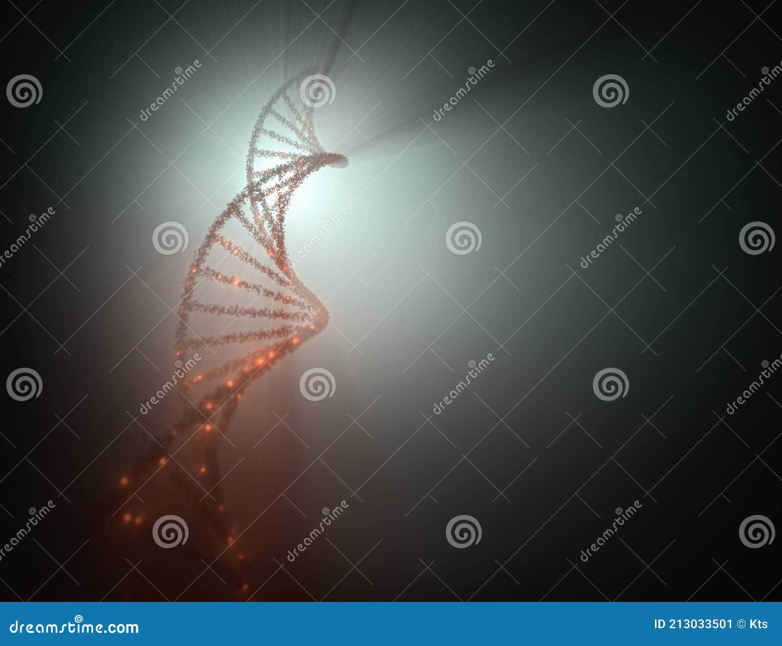 DNA Molecule Helix Genetic Code Stock Illustration - Illustration of ...