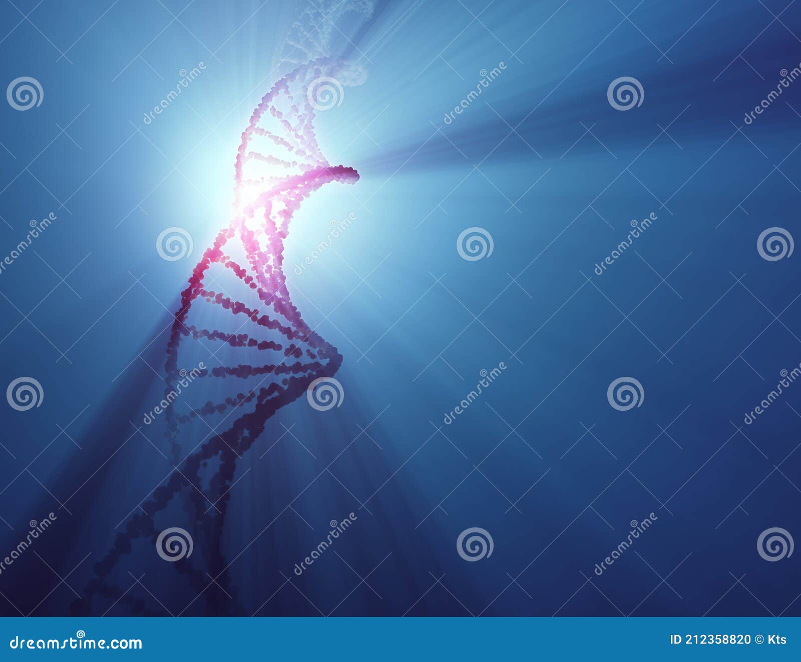 DNA Molecule Helix Genetic Code Stock Illustration - Illustration of ...
