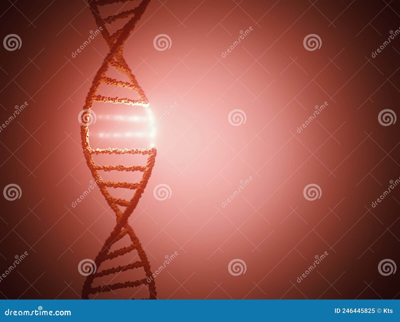 DNA Molecule Helix Genetic Code Stock Image - Image of forming ...