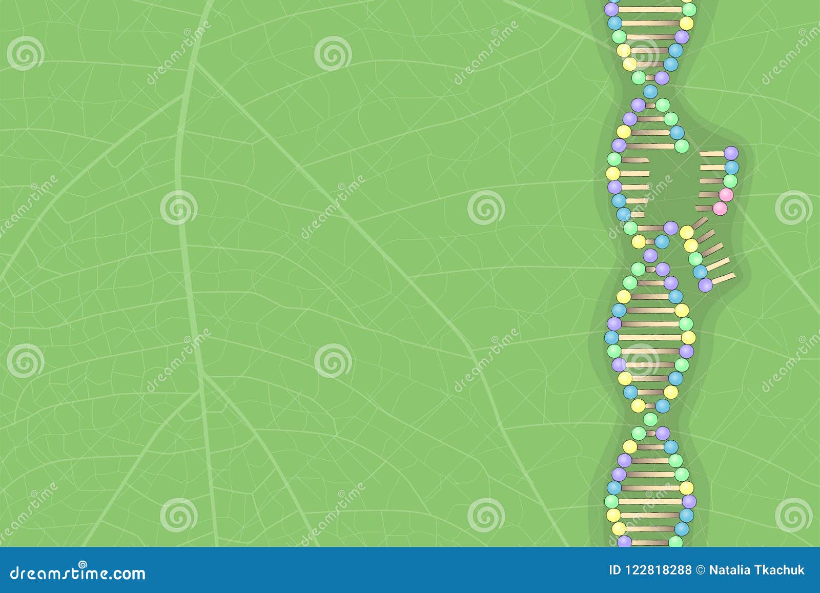 DNA Molecule on Leaf, Vector Illustration Stock Vector - Illustration ...