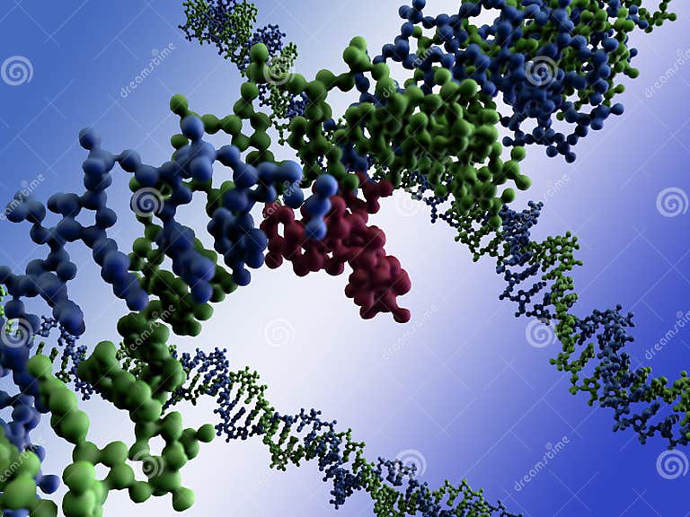 DNA Molecule Model stock illustration. Illustration of dimensional ...