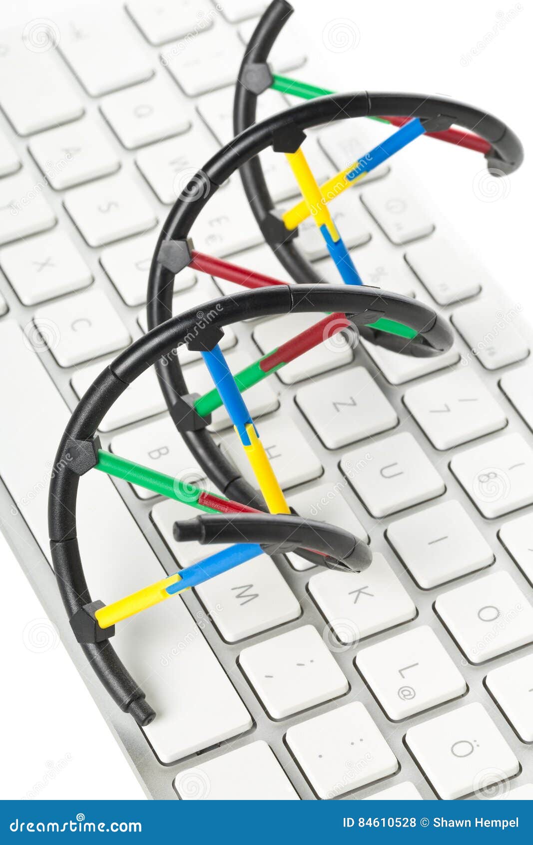 DNA Molecule Model on Computer Keyboard Stock Photo - Image of ...