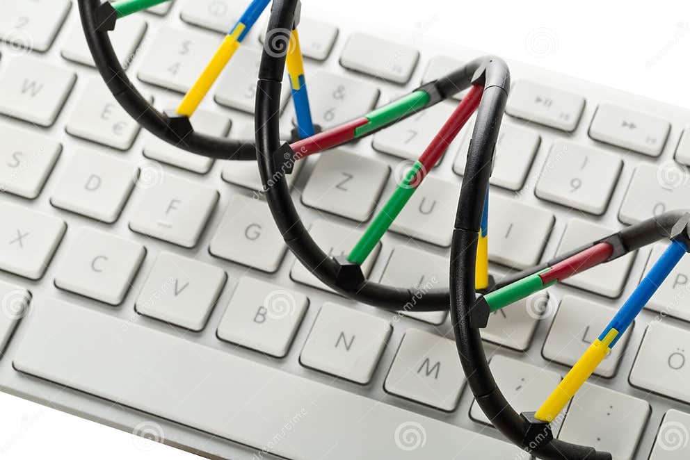 DNA Molecule Model on Computer Keyboard Stock Photo - Image of ...