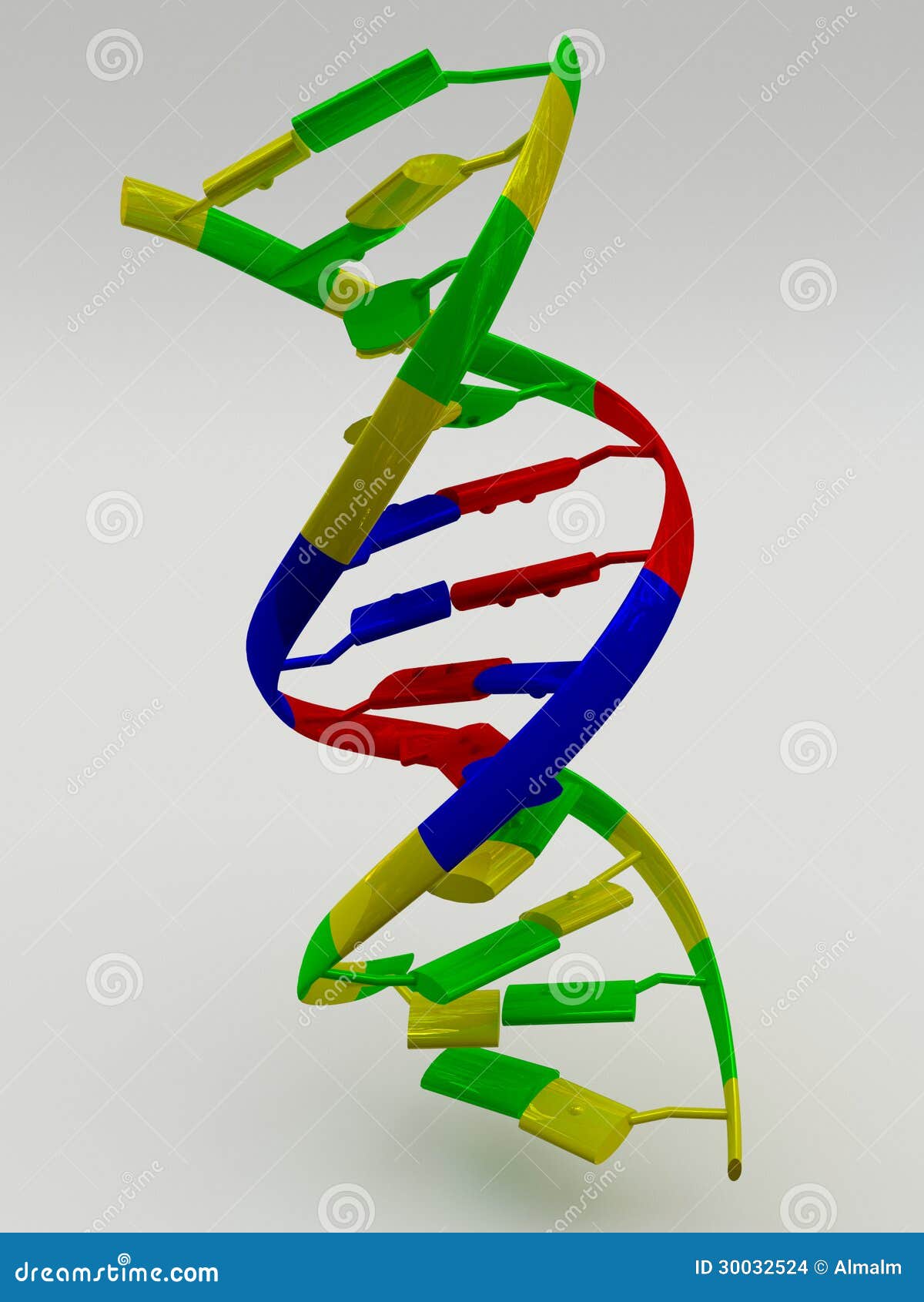 DNA Molecule stock illustration. Illustration of rods - 30032524
