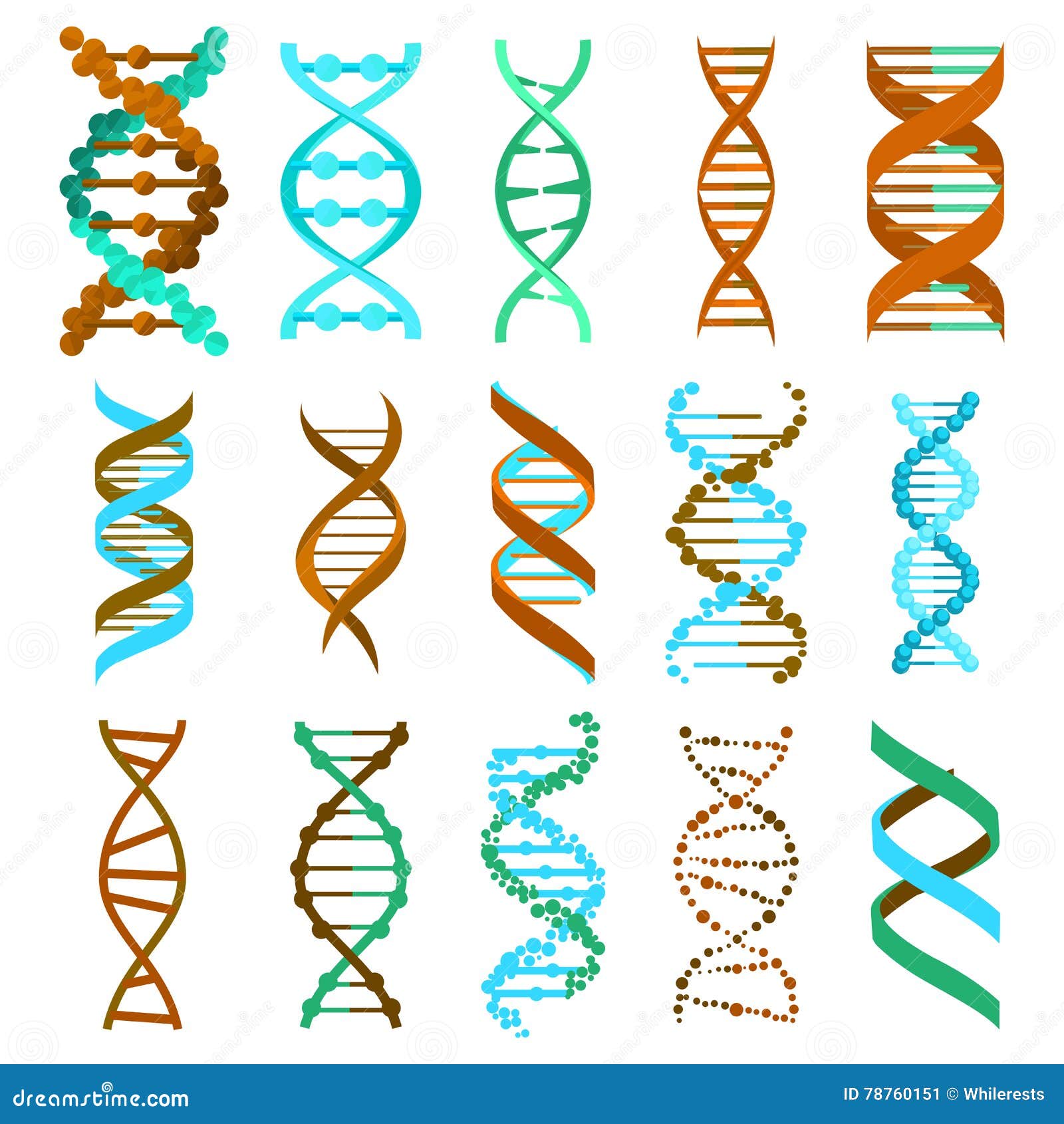 DNA Strand Vector Simple Linear Icon, Science Biology And Biotechnology ...