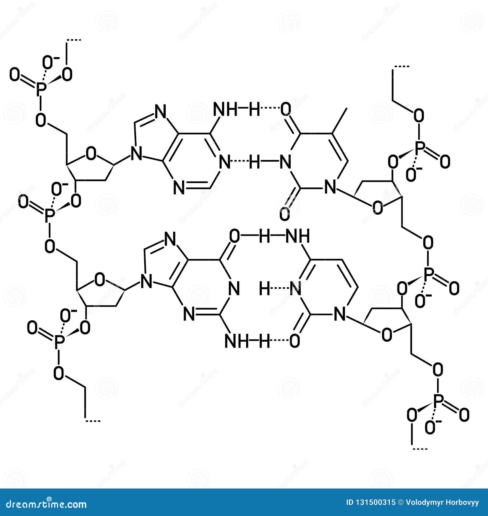 DNA molecule structure stock vector. Illustration of genome - 131500315