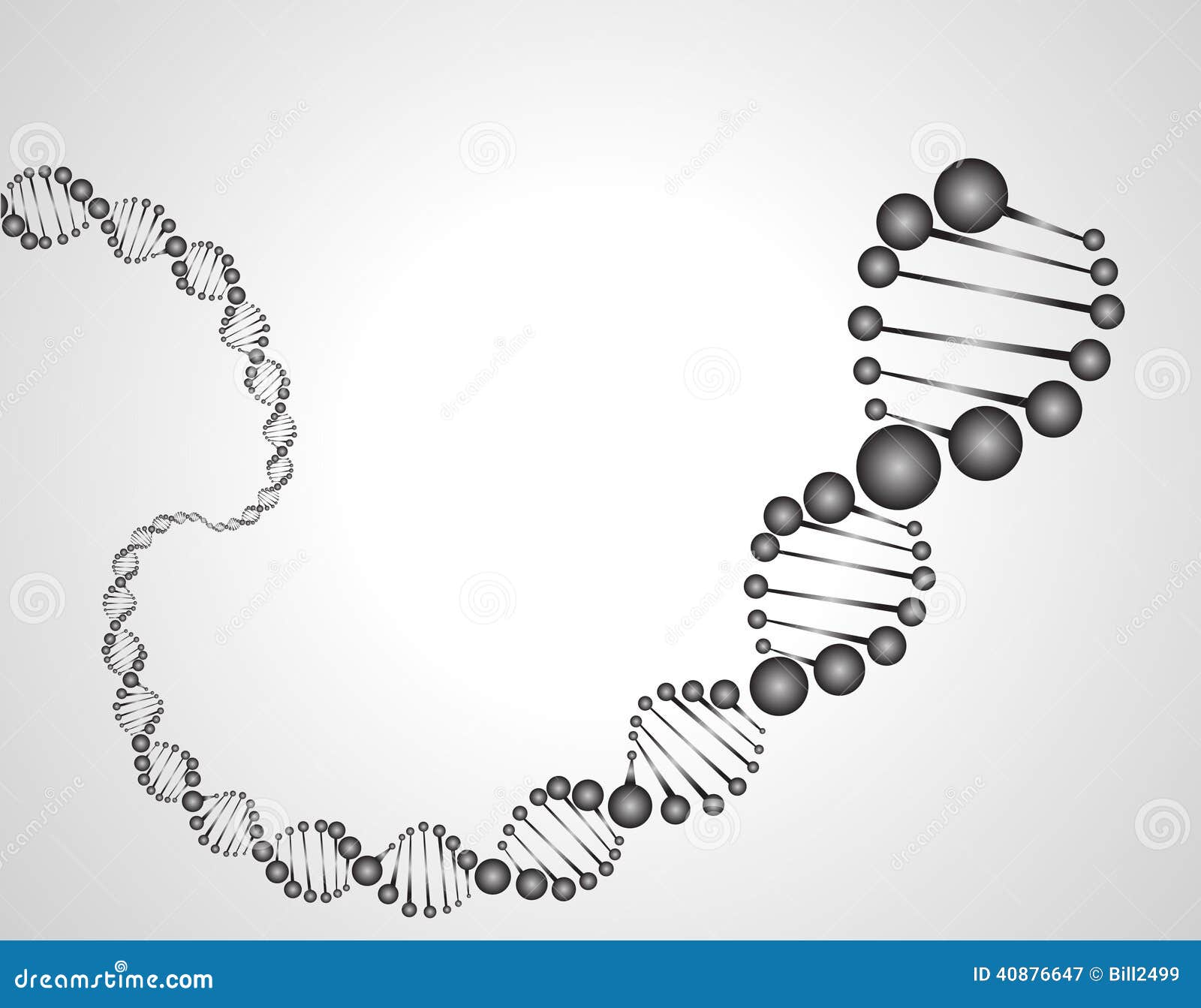DNA Molecule Structure Royalty-Free Illustration | CartoonDealer.com ...
