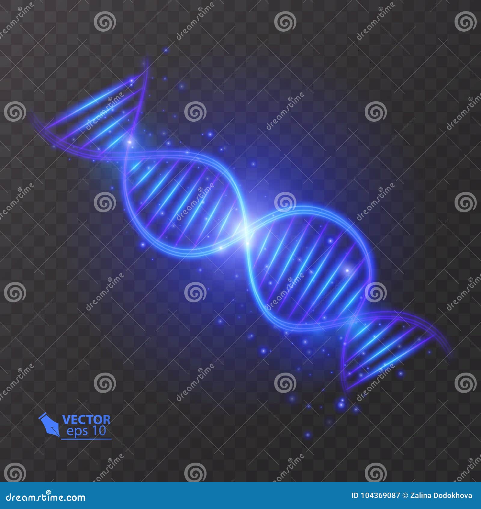 DNA Molecule Structure Illustration. Light Effect, on Transparent ...