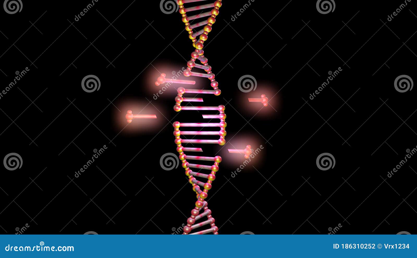 Glowing Multicolored DNA Molecule Strands. Vertical View . 3d Rendering ...