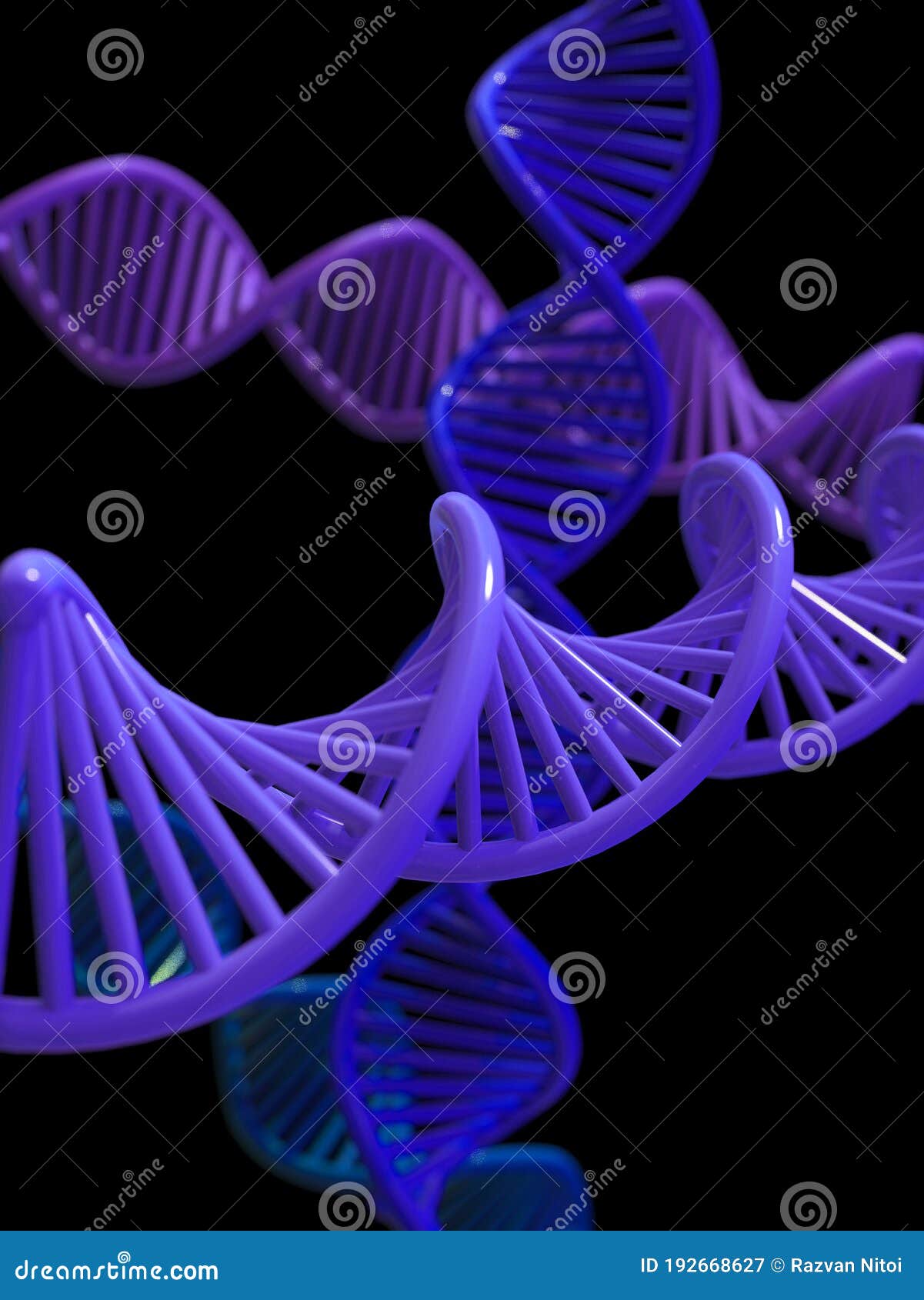 DNA Genetic Molecule Spiral Structure Stock Illustration - Illustration ...