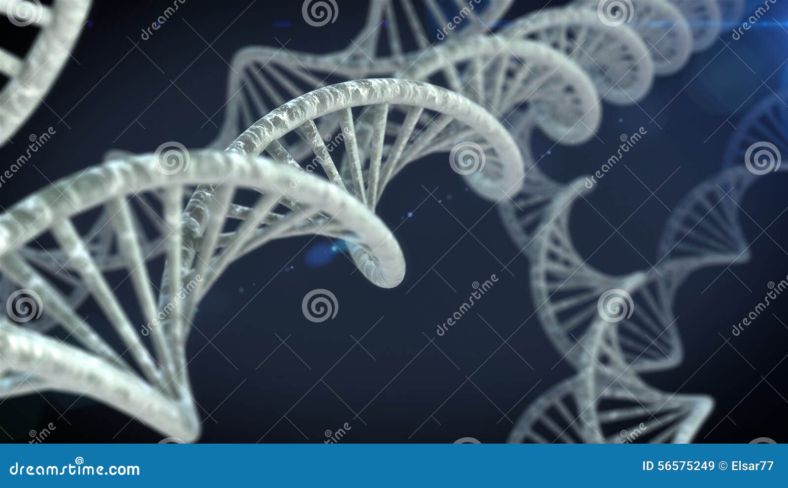 DNA molecules stock illustration. Illustration of life - 56575249