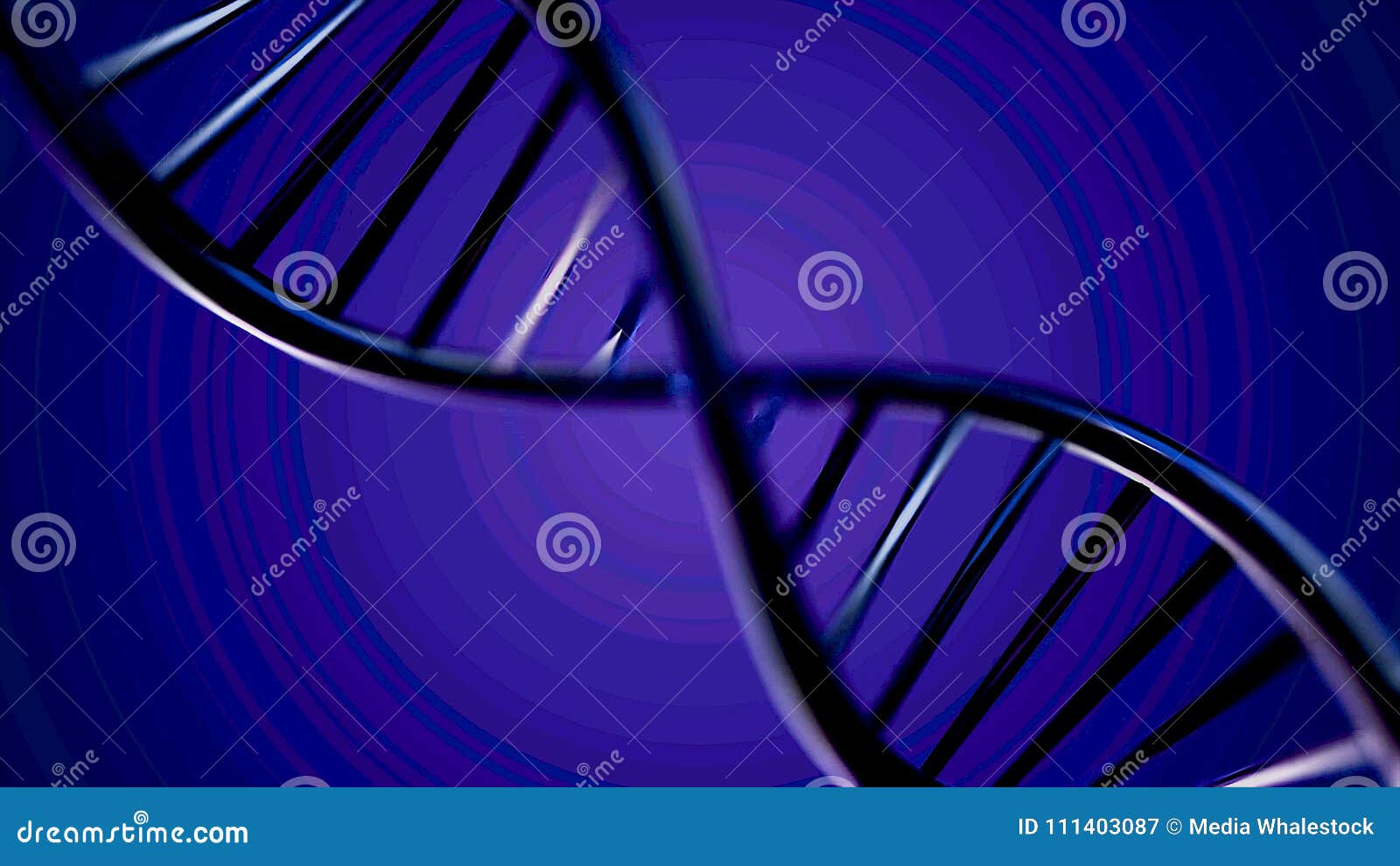 DNA Molecules on the Beautiful Backdrop. DNA Model Stock Image - Image ...